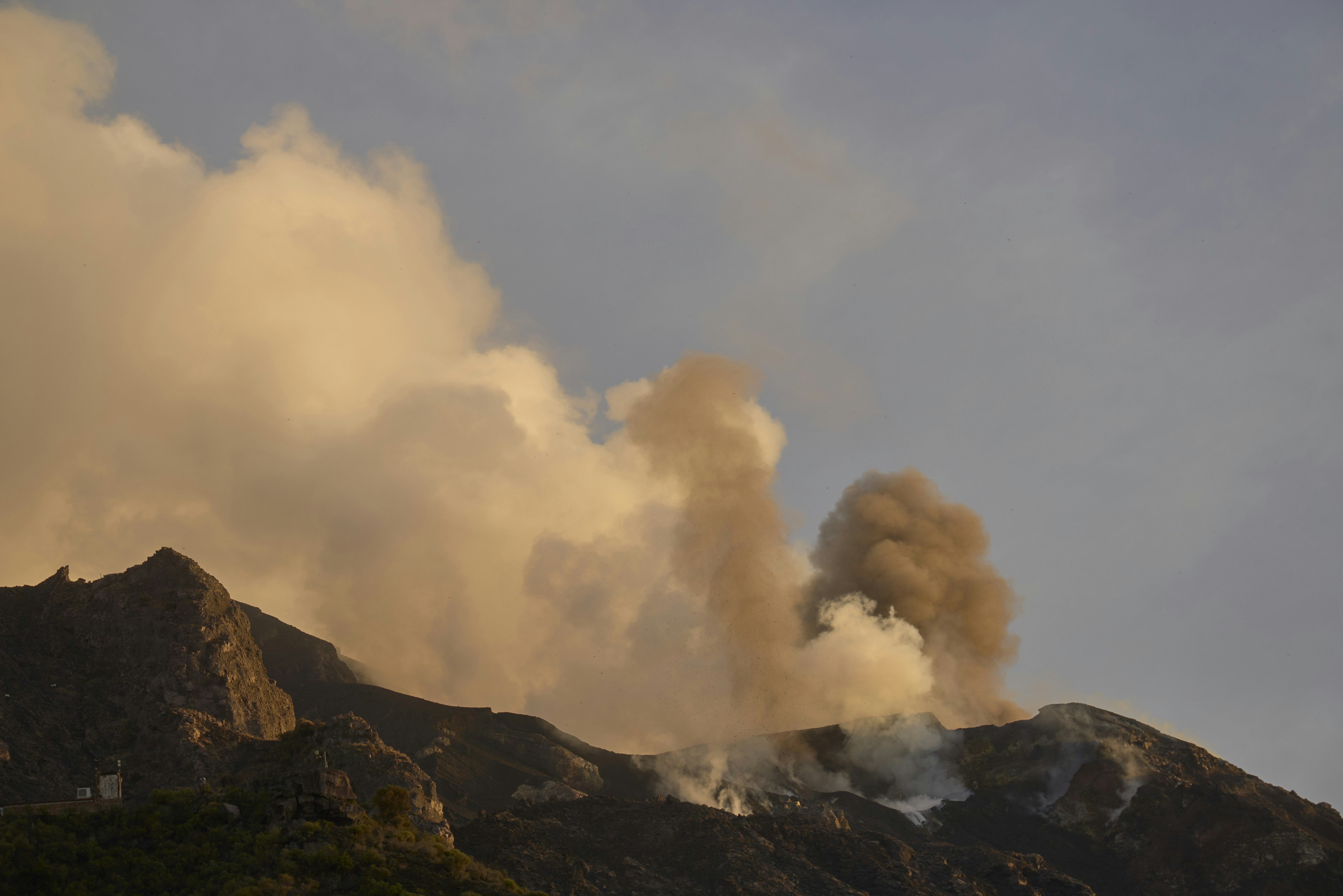 Photo by Wolfgang Hasselmann with Sony Alpha 7 IV