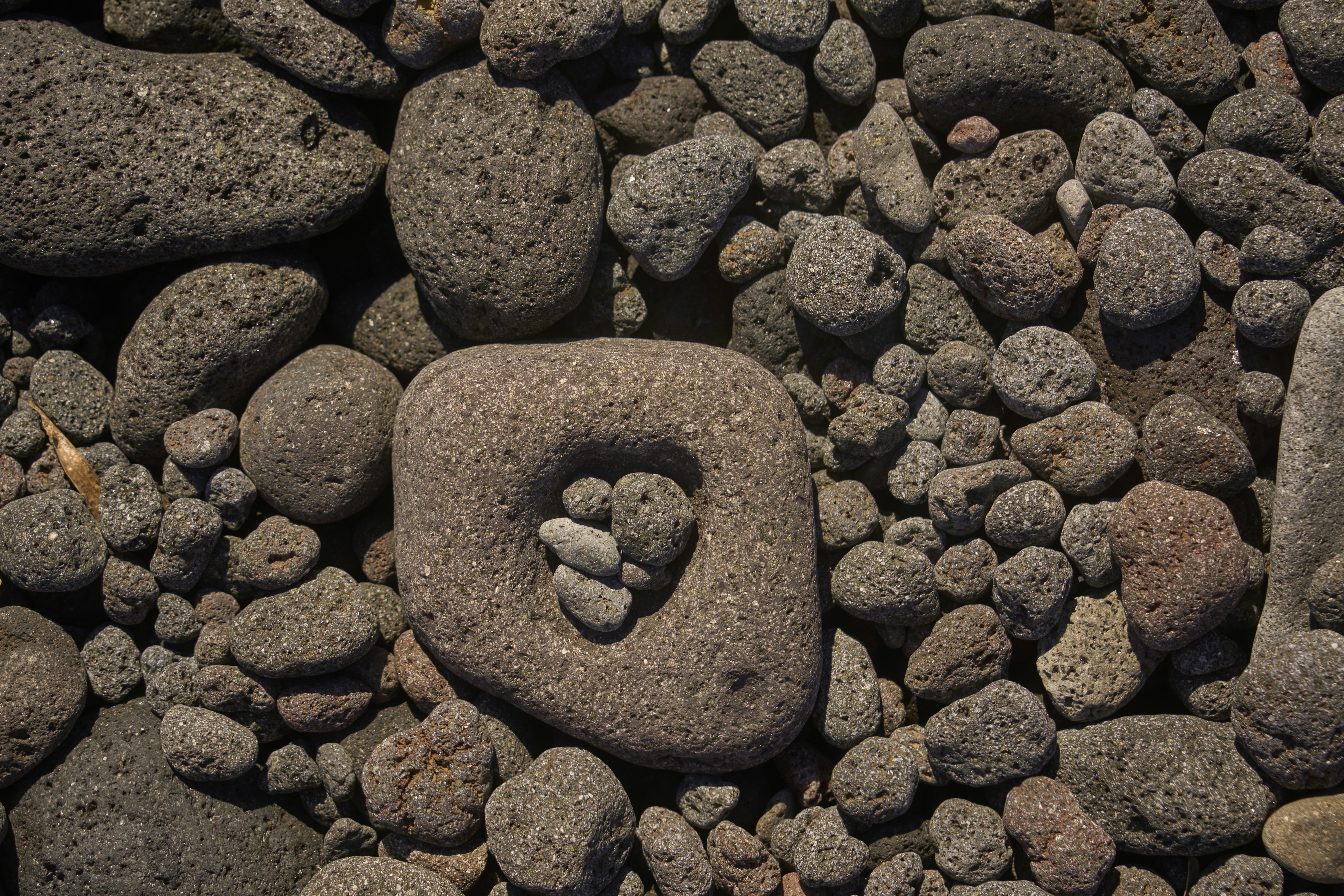 Photo by Wolfgang Hasselmann with Sony Alpha 7 IV