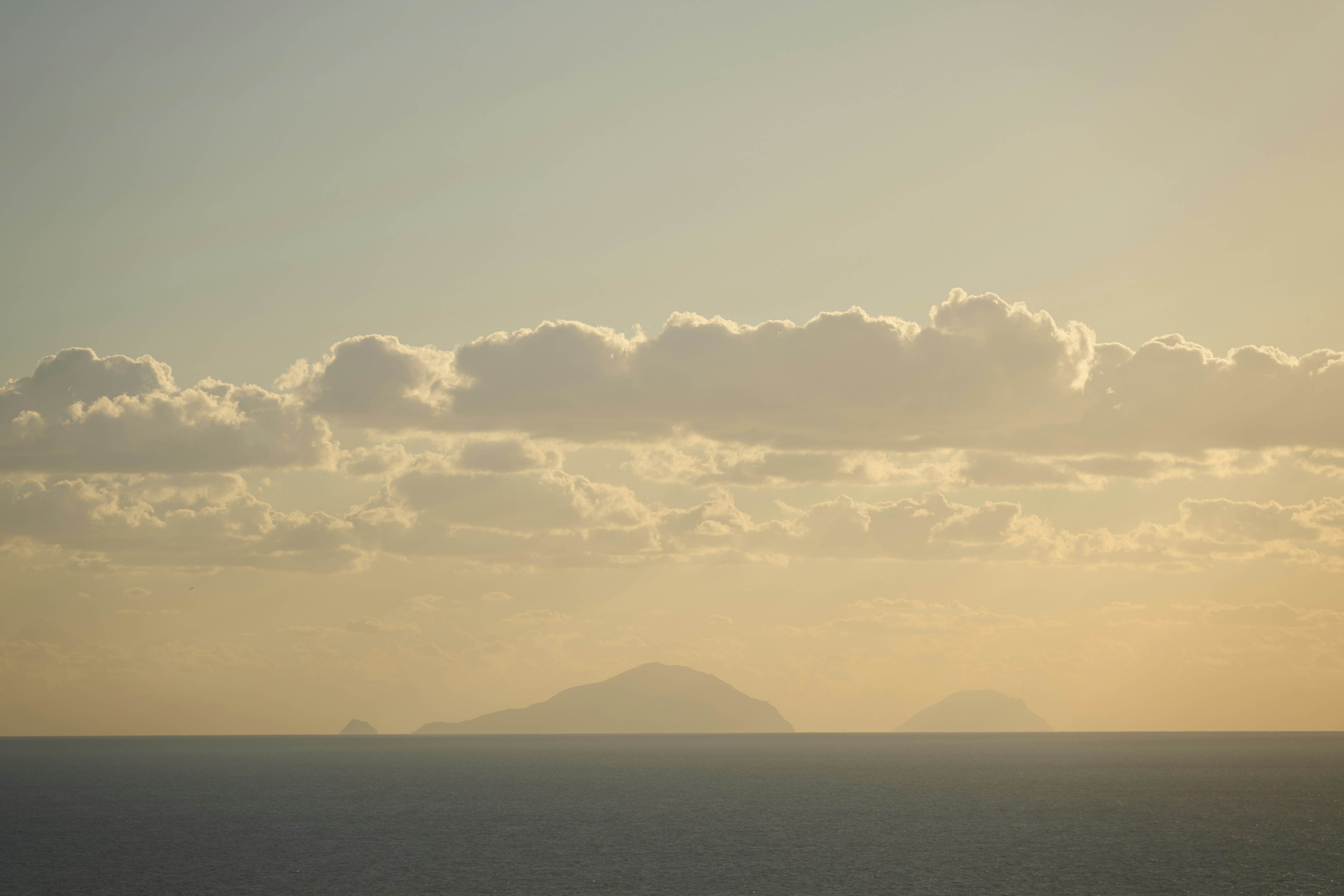 Photo by Wolfgang Hasselmann with Sony Alpha 7 IV