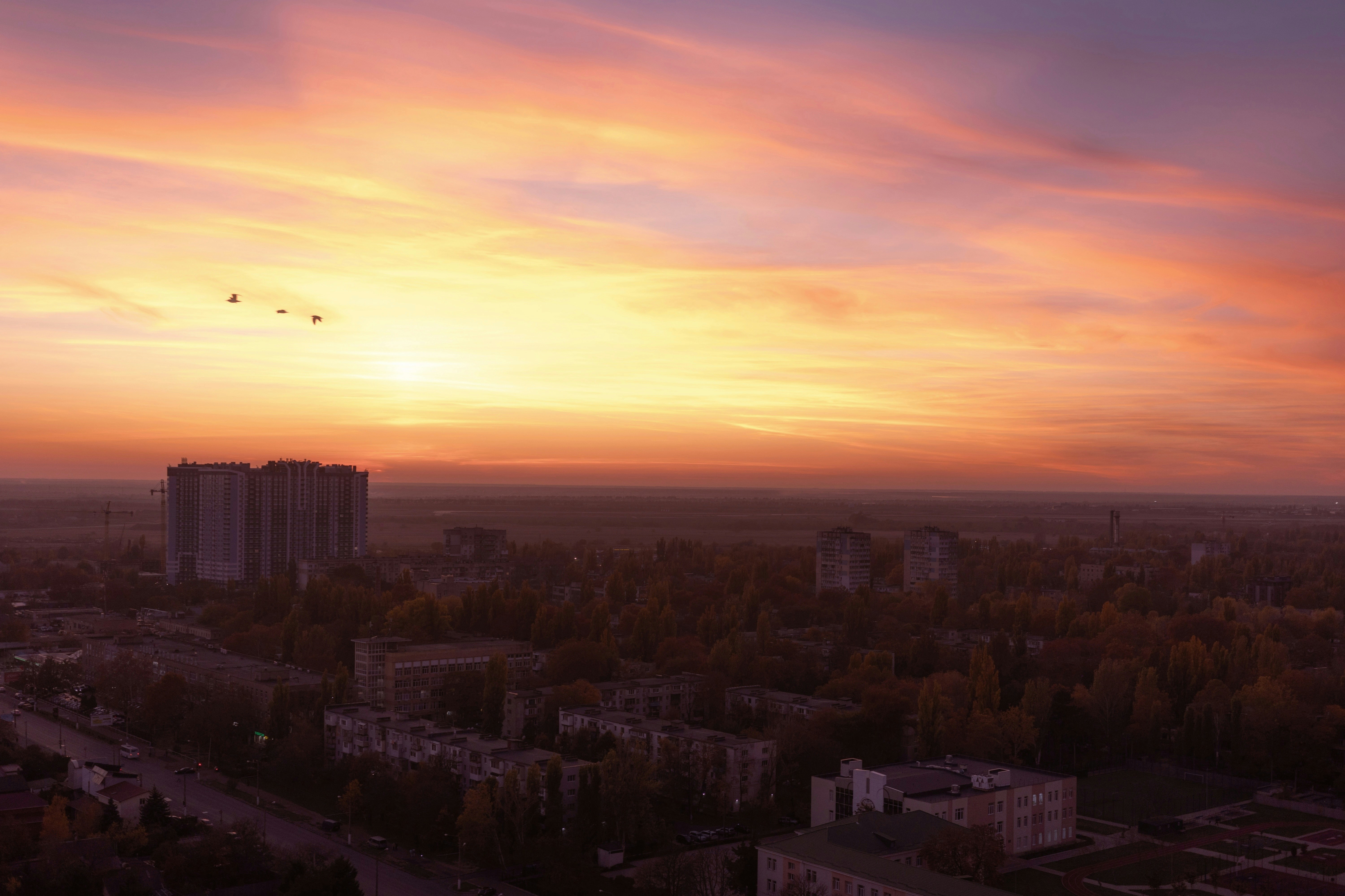 Horizon in Gold: Sunset Over a Quiet Suburban Skyline