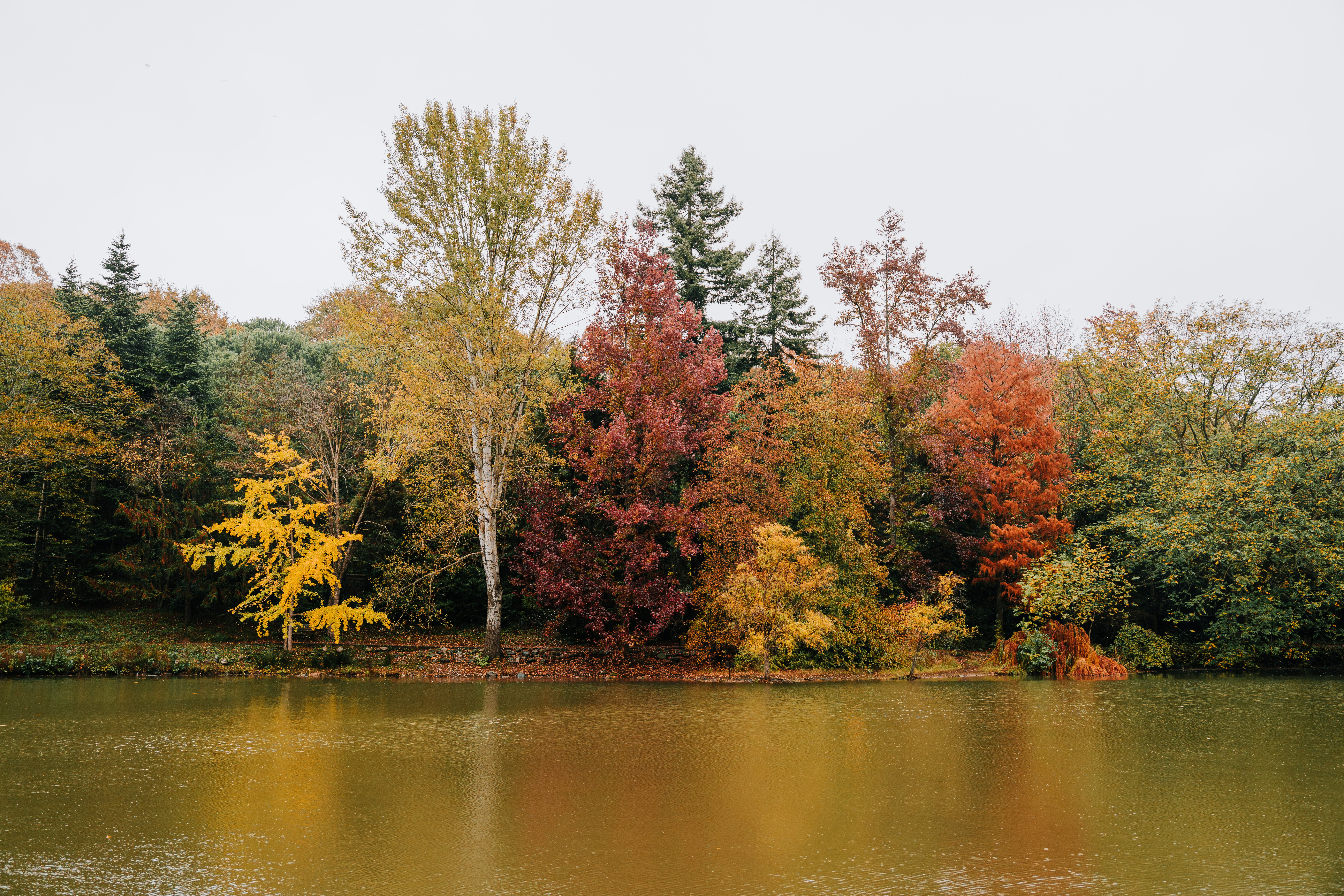 Autumn Palette Along the Quiet River