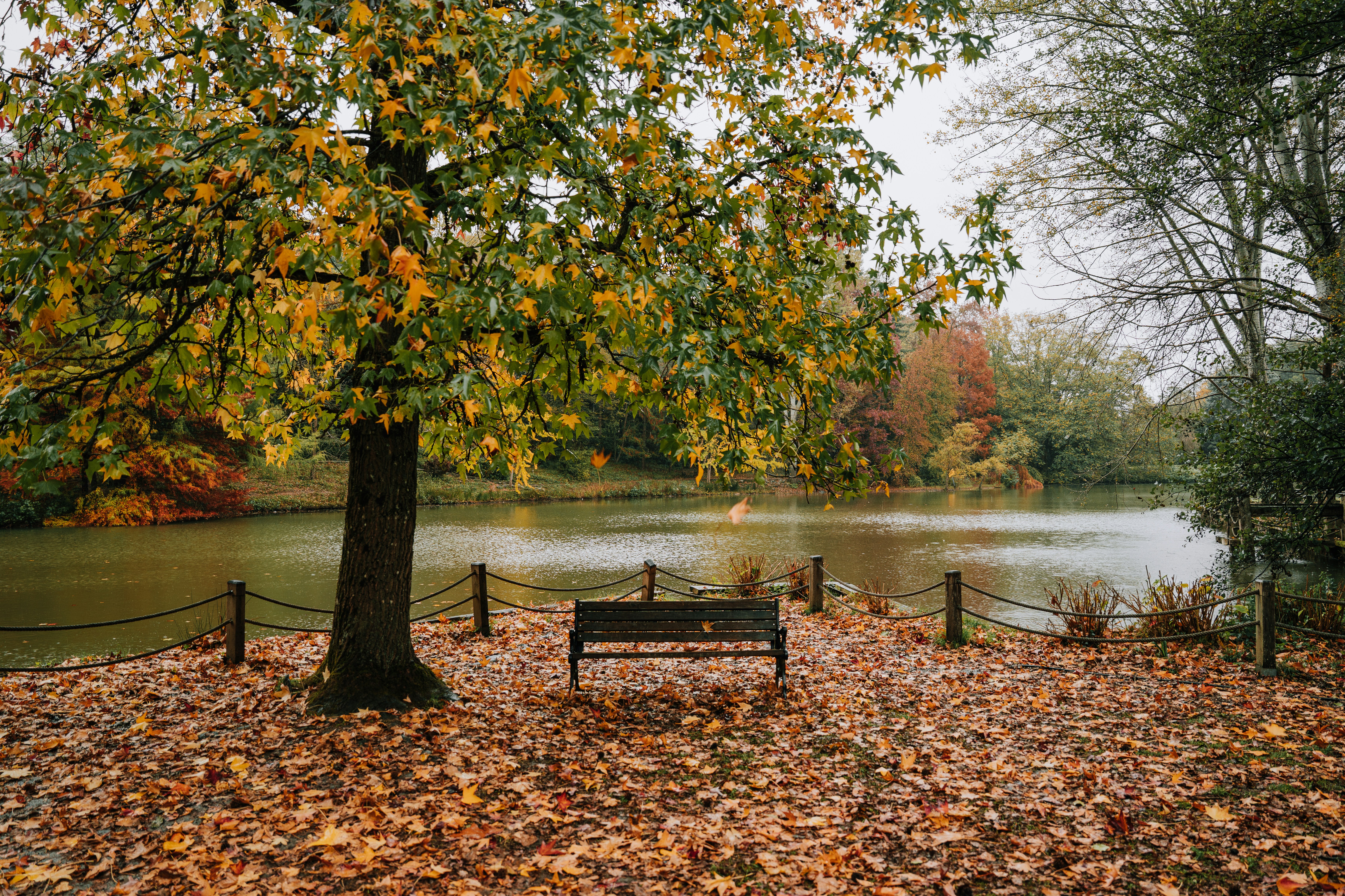 Photo by Ahmed with Sony Alpha 7 IV