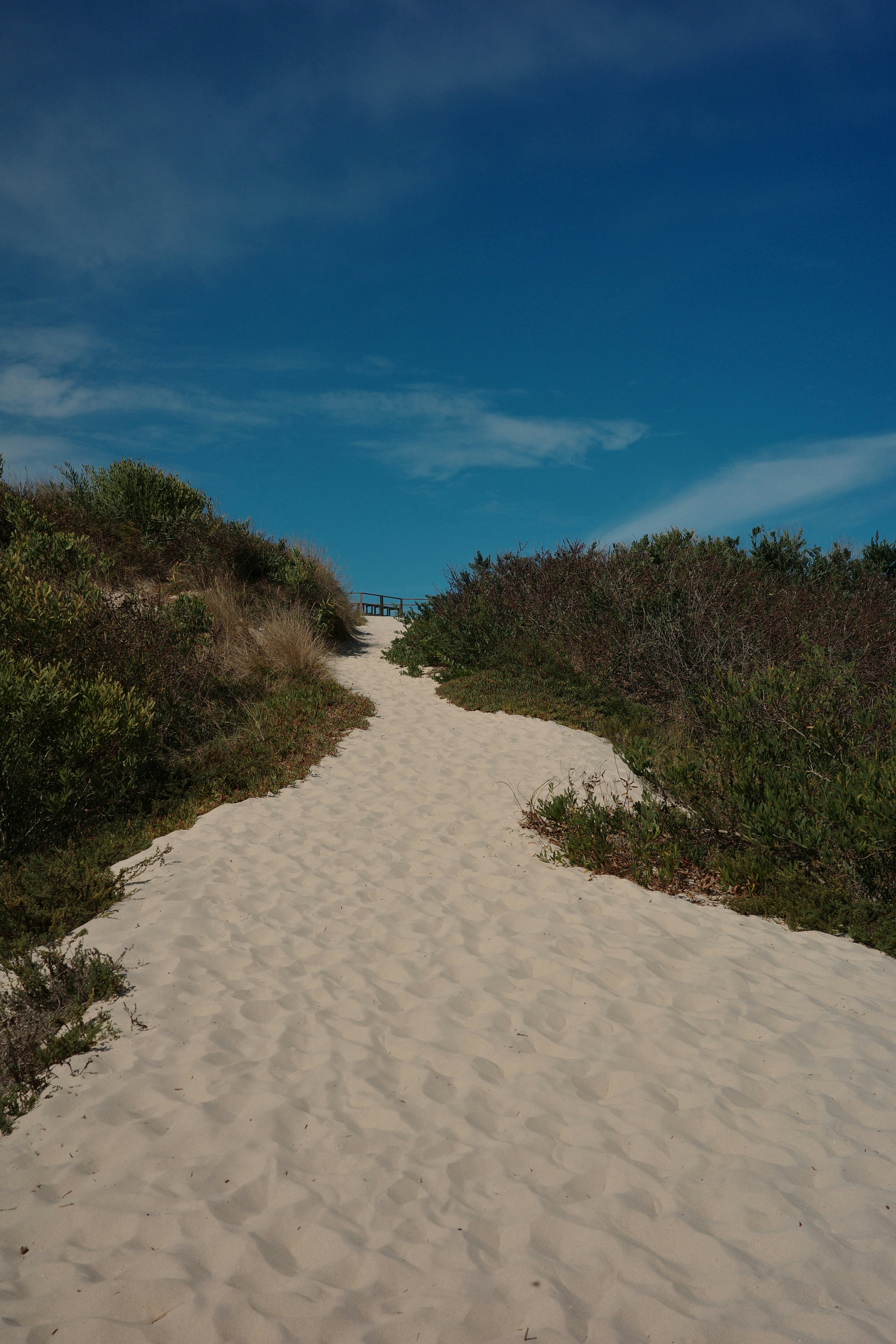 Photo by alex with Ricoh GR IIIx