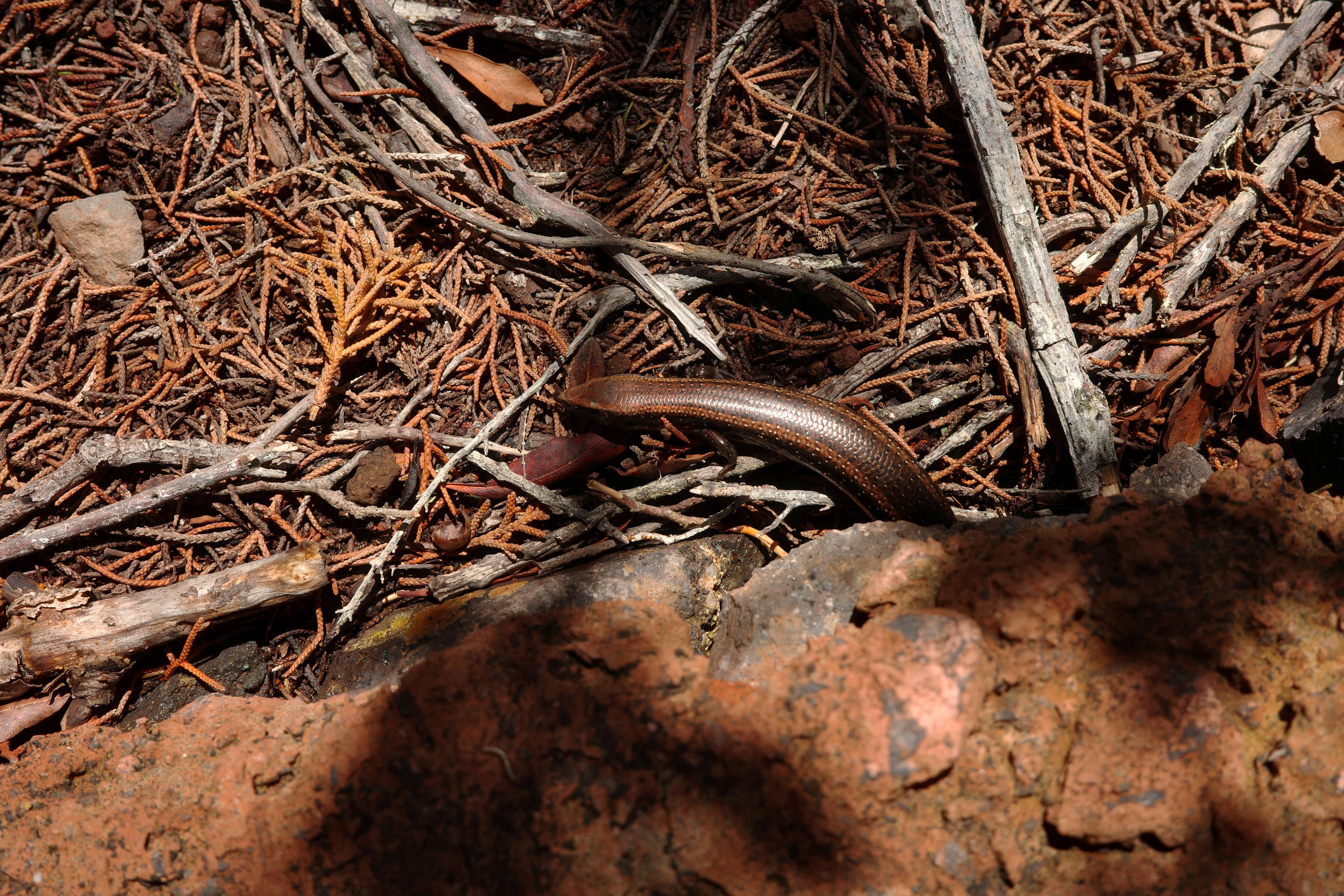 Photo by alex with Ricoh GR IIIx