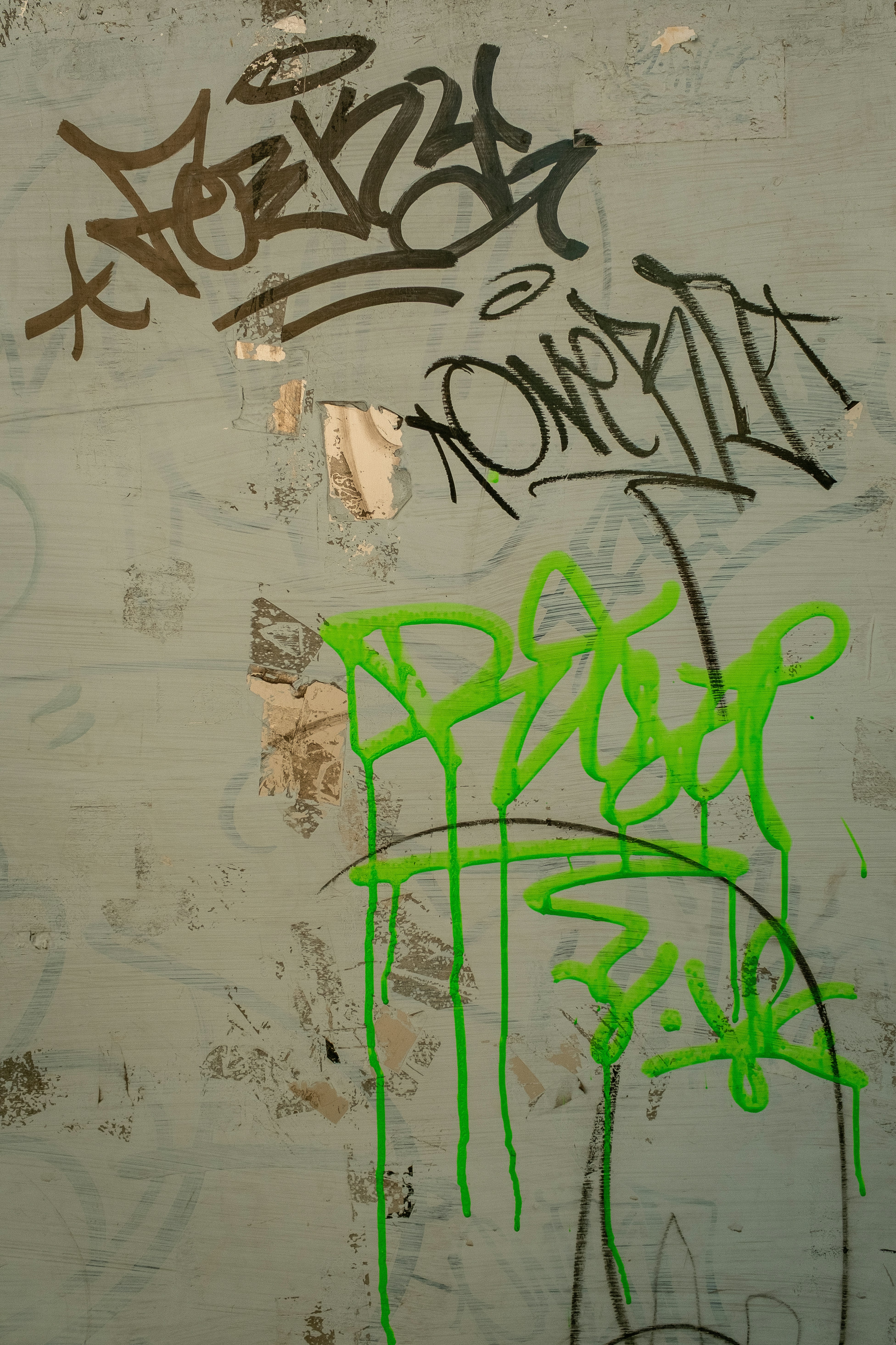 Photo by Alex Quezada with Fujifilm X-T30 II