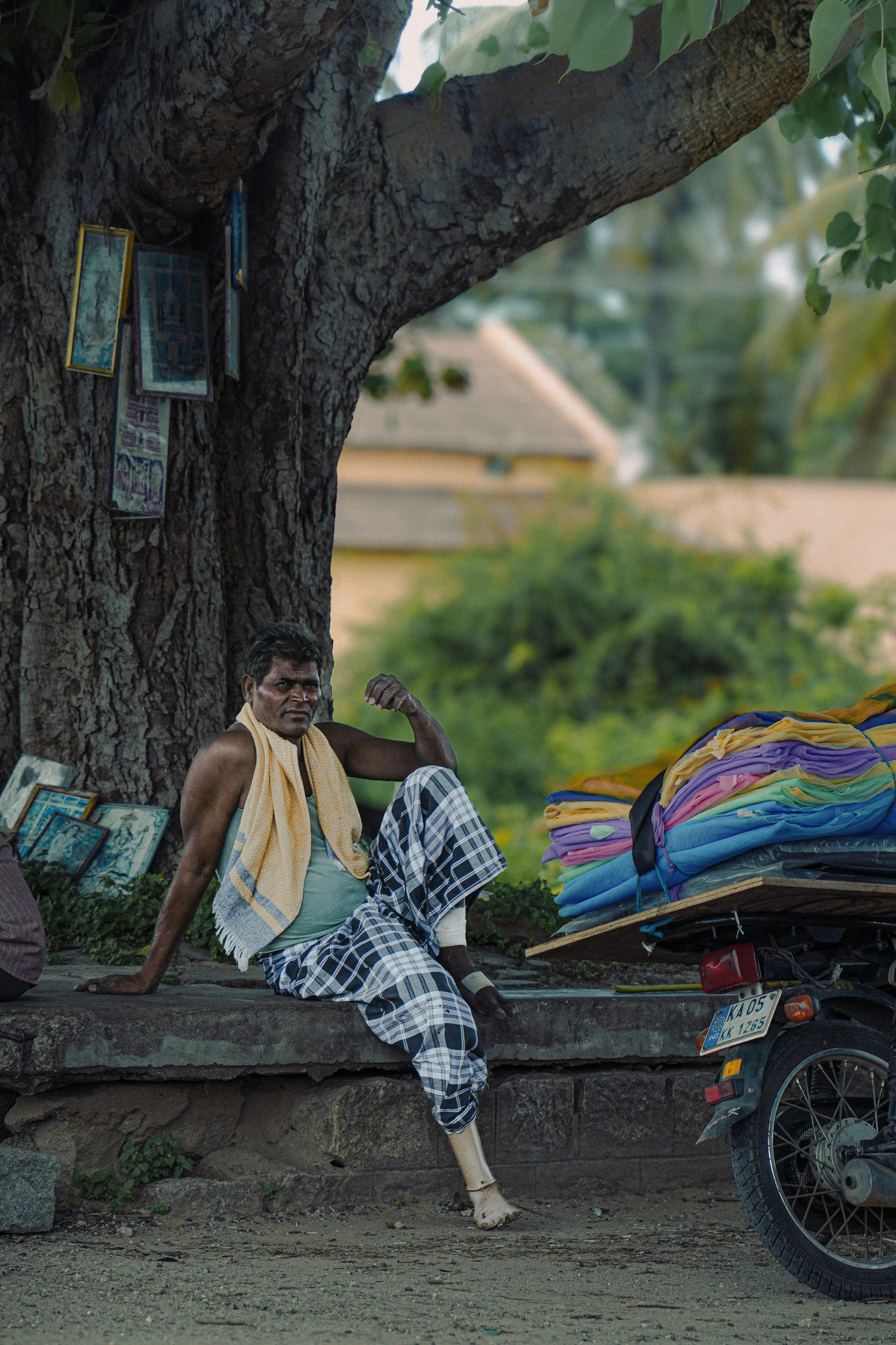 Under the Gnarled Tree: A Street Vendor Pauses by a Rainbow Fabric Cart