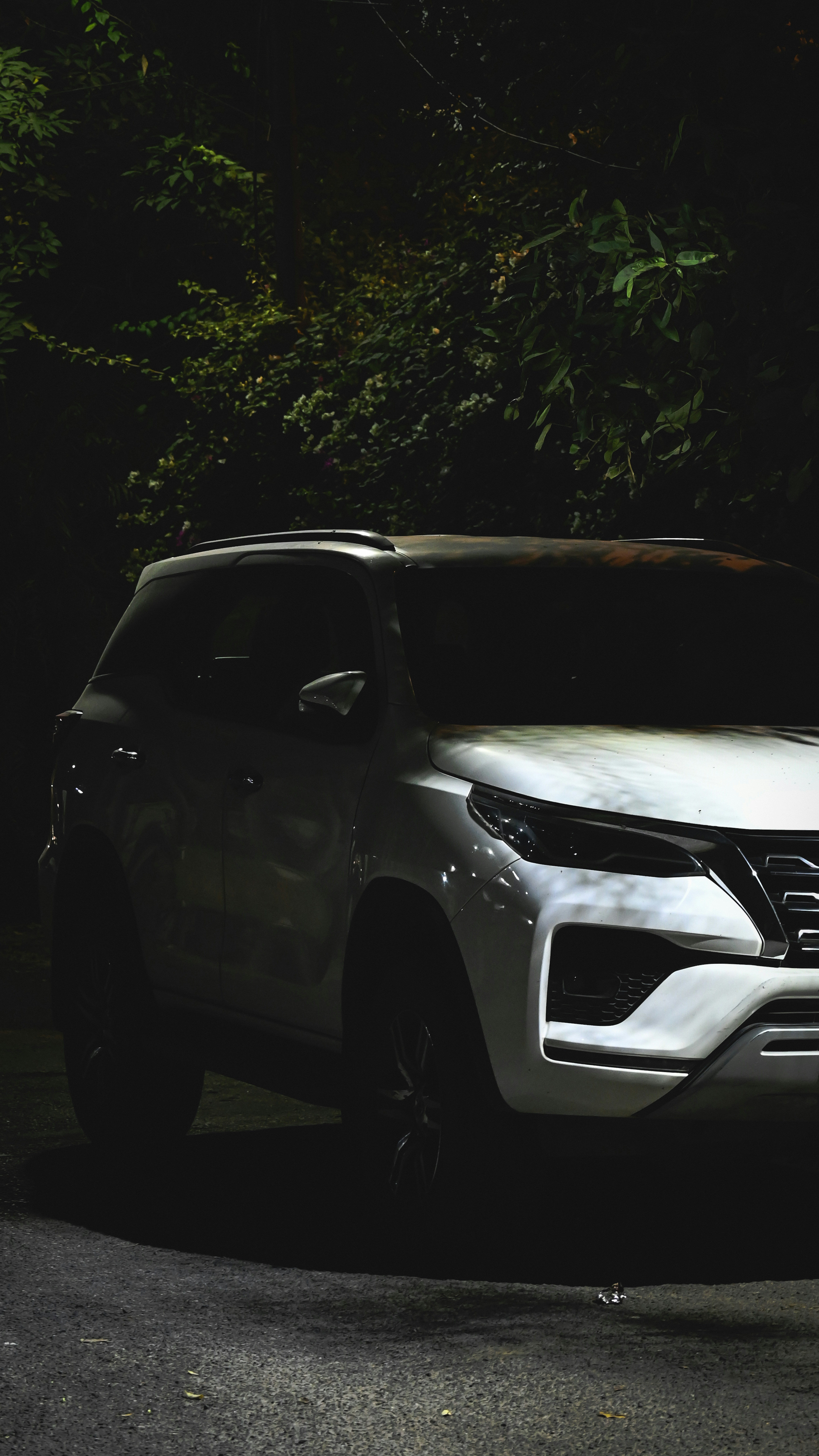 Under the Canopy: a White SUV Emerges from Night