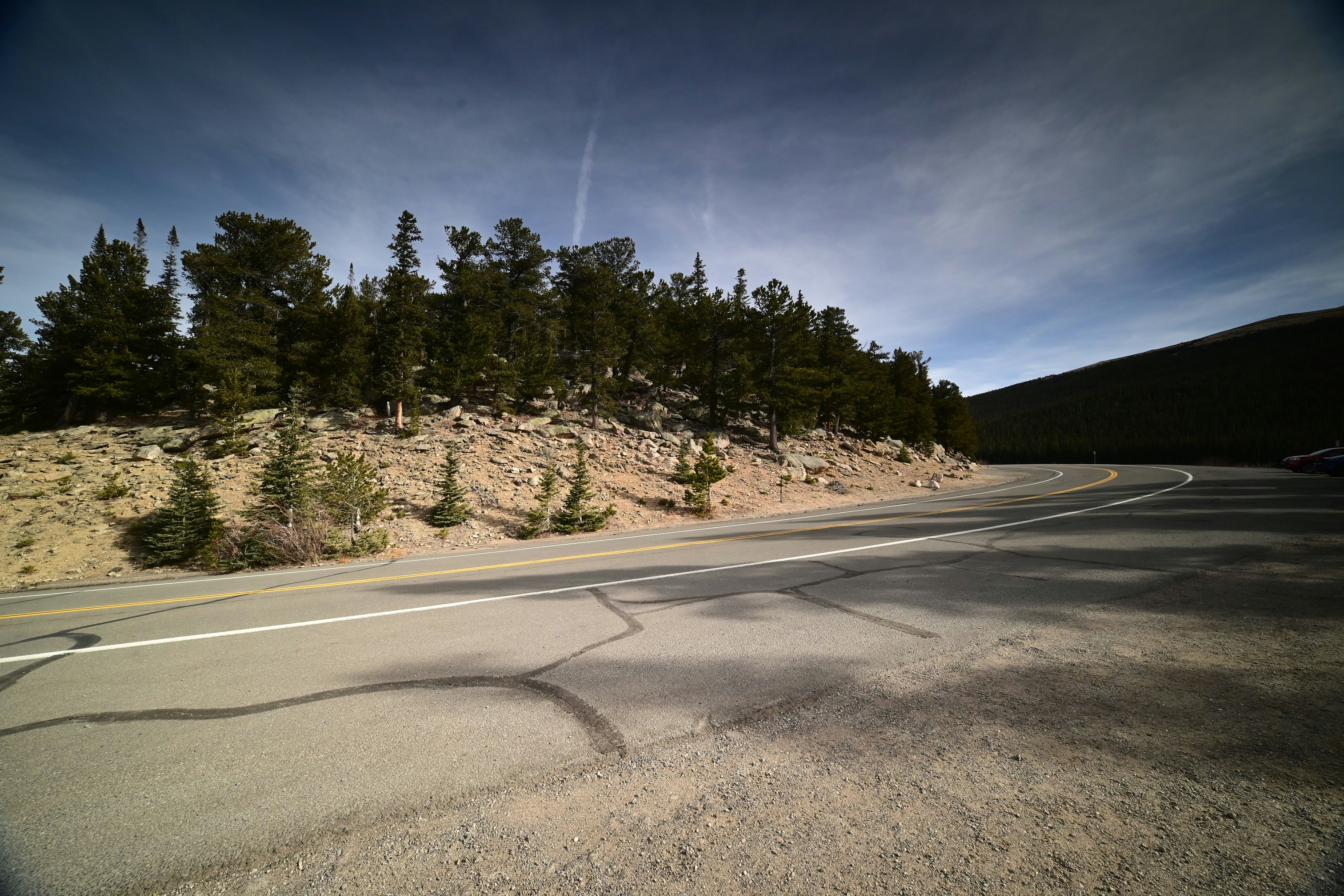 Turn in the Pines: A Lone Mountain Road Bends Through Rocks and Trees