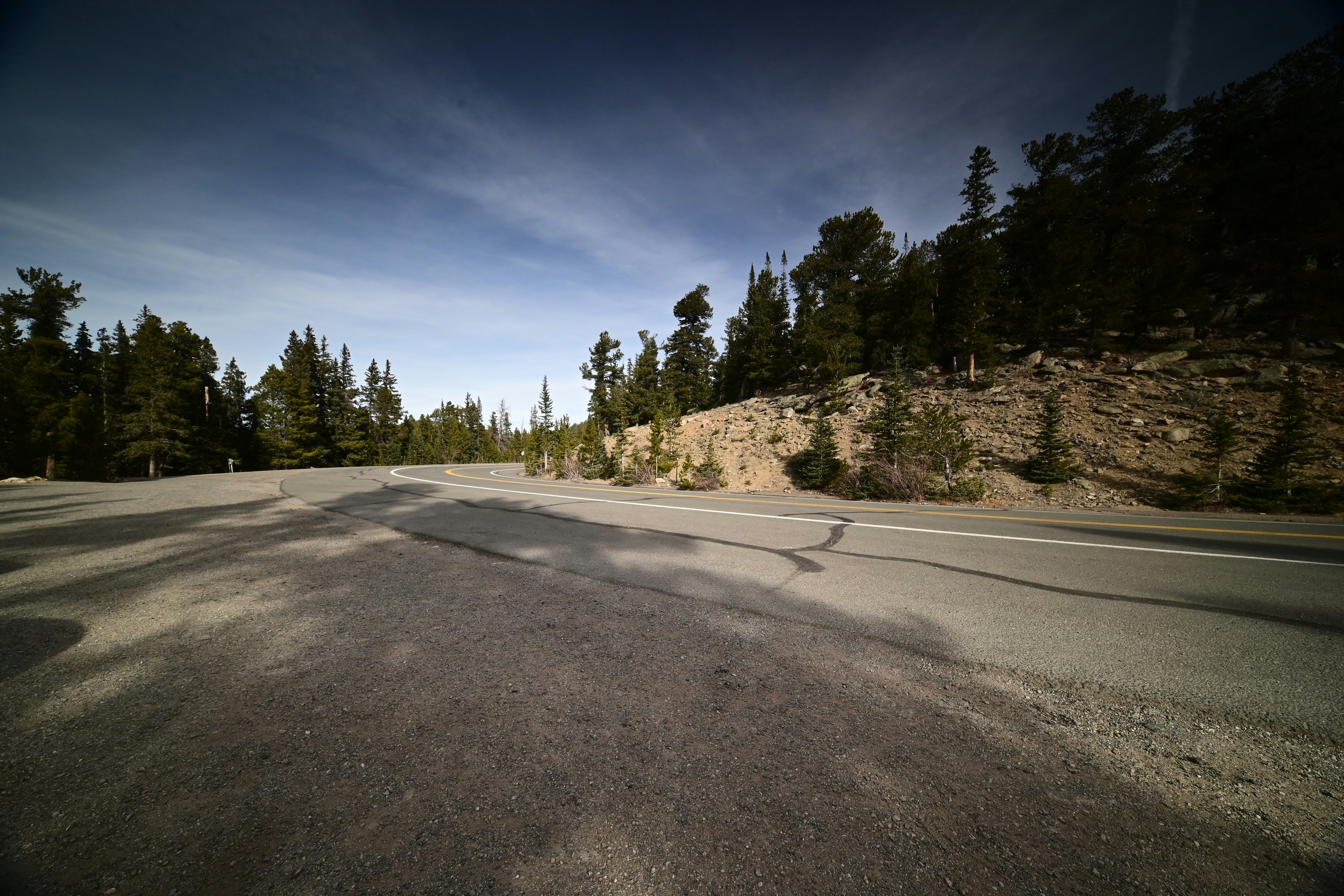 Convergence on the Mountain Road: Pines, Rock, and Sky