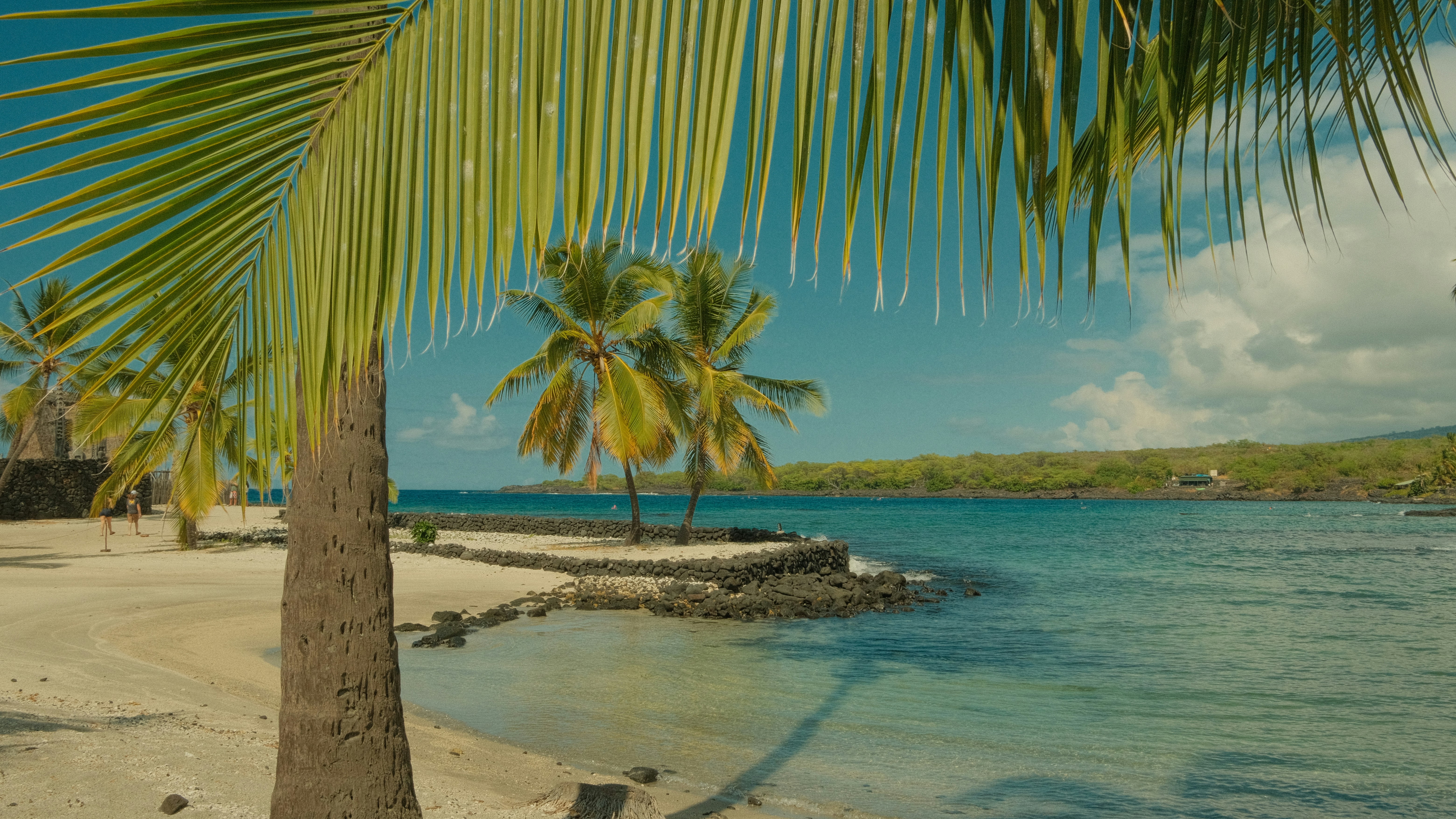 Photo by Brandon Langley with Fujifilm X-T30 II