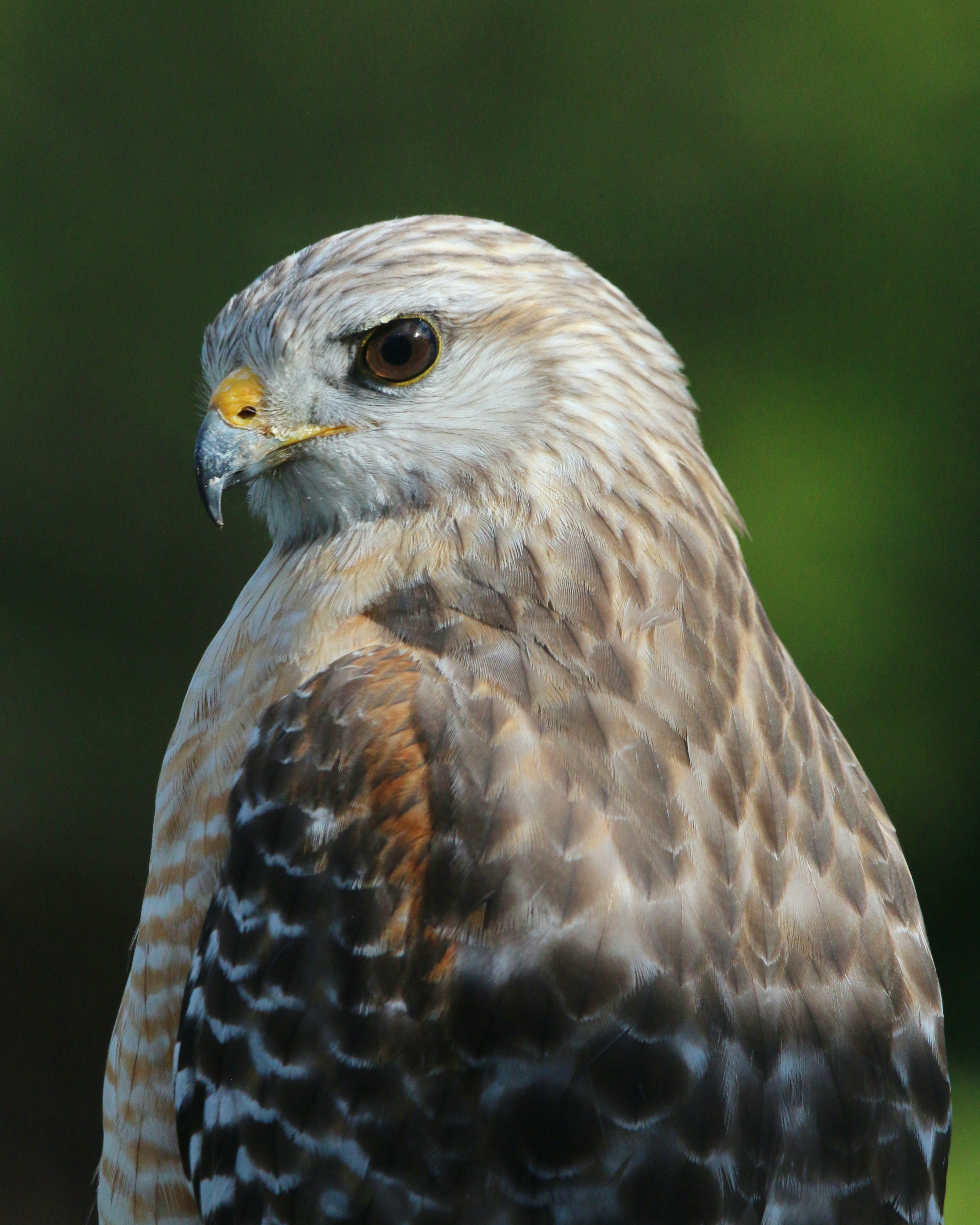 Photo by Paul Crook with Canon EOS 70D