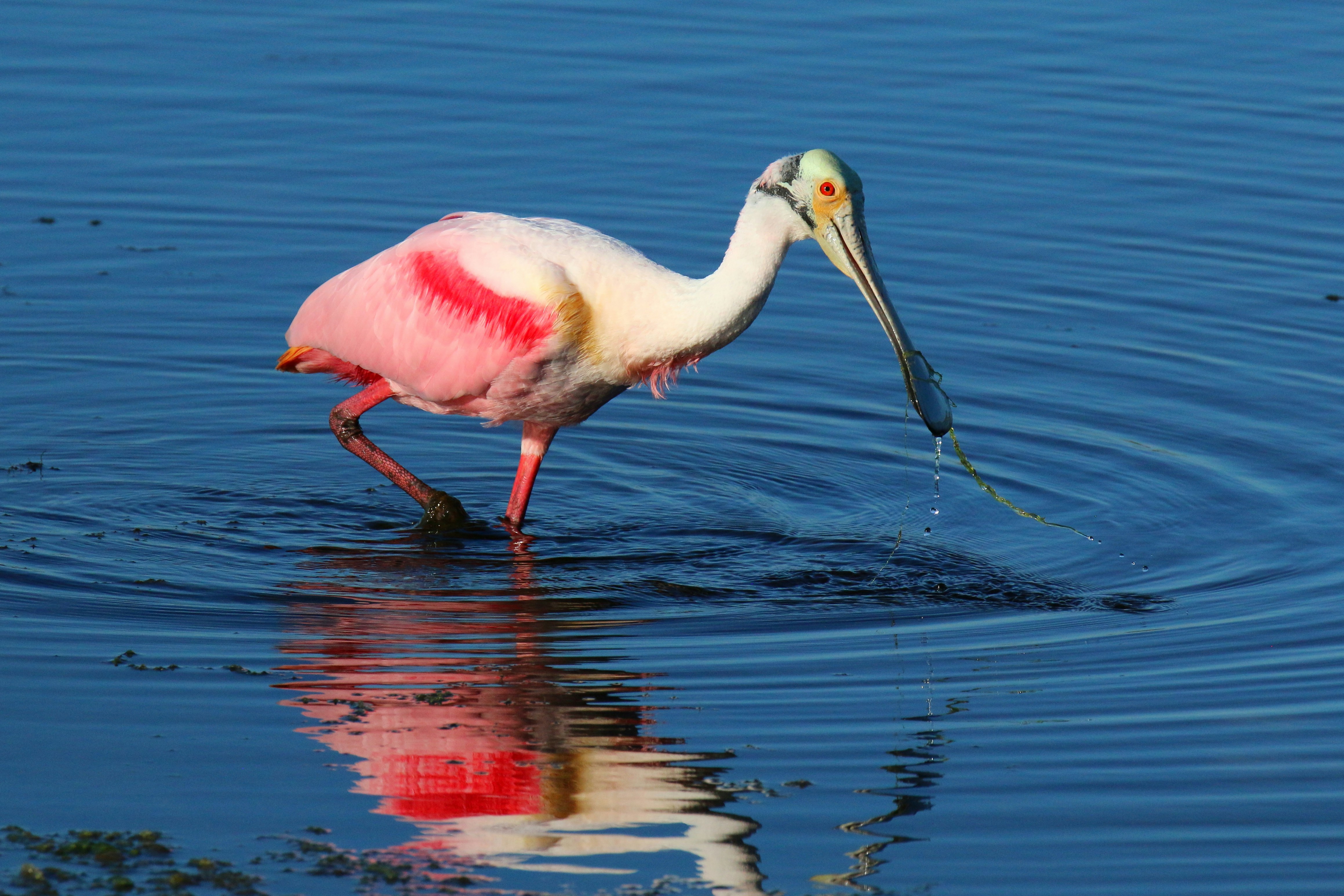 Photo by Paul Crook with Canon EOS 70D