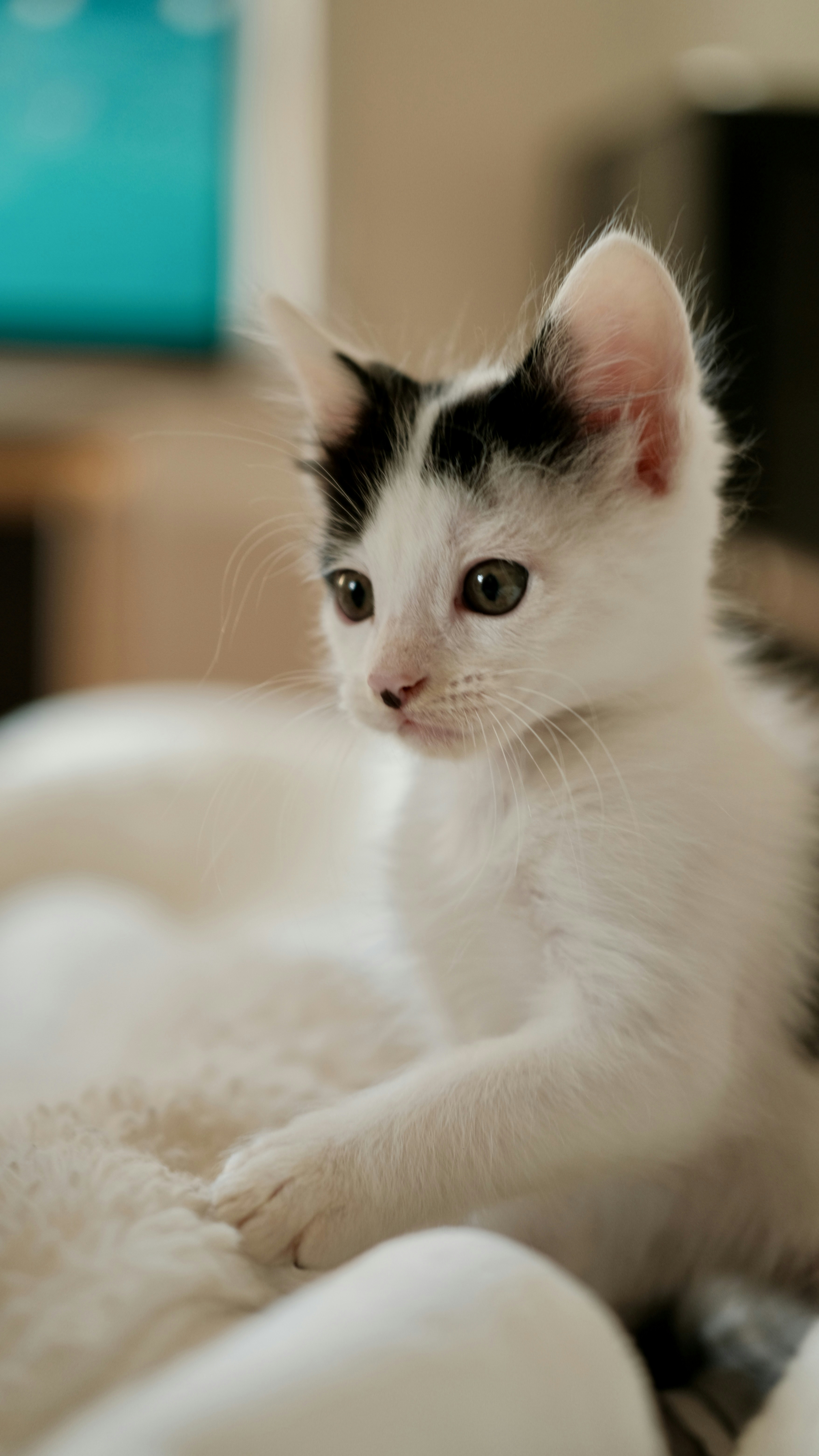 Photo by Ernesto Samaniego with Fujifilm X-T3