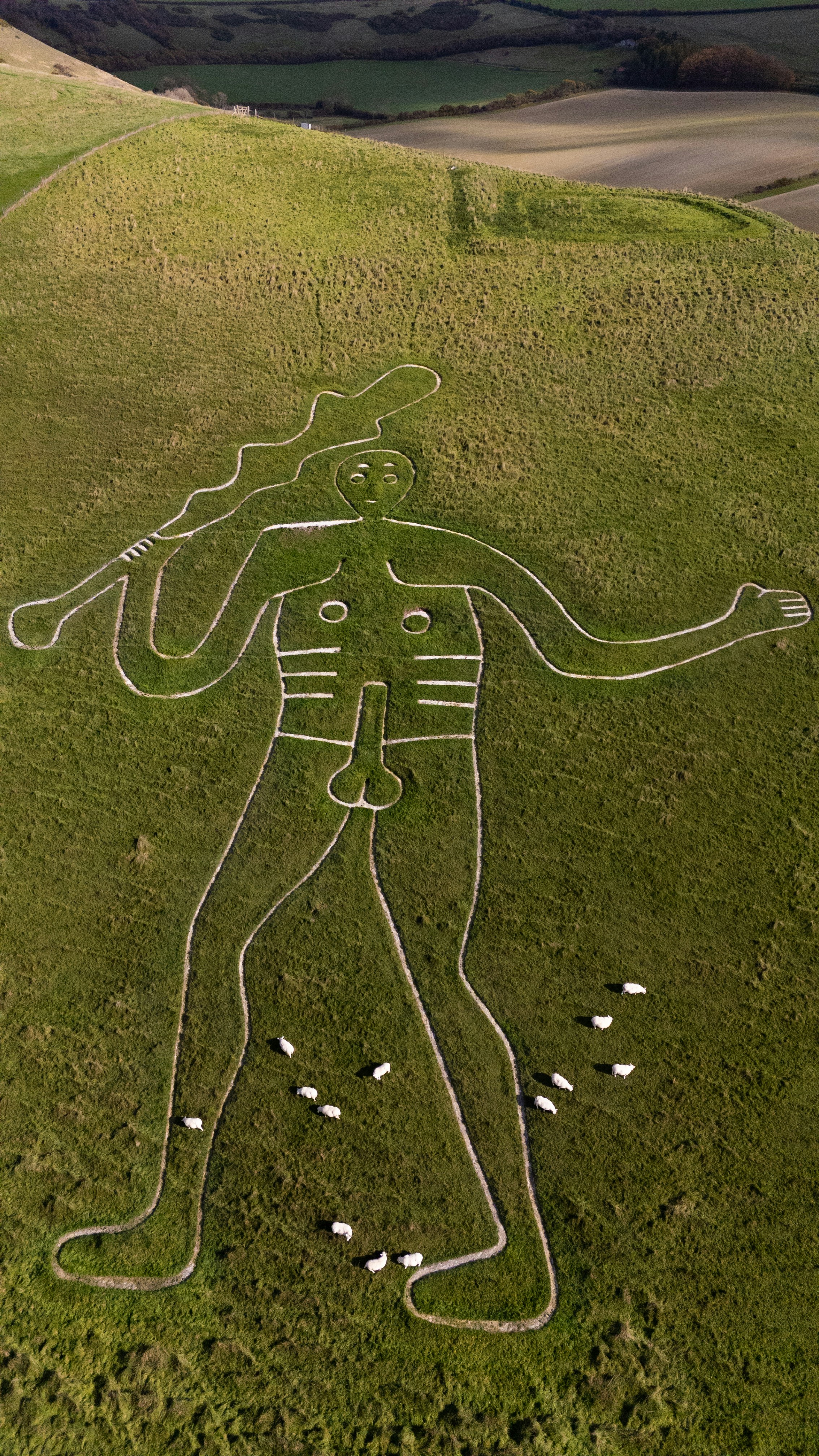 Hilltop Glyph: A Giant White-Line Human Outline Across the Grassland