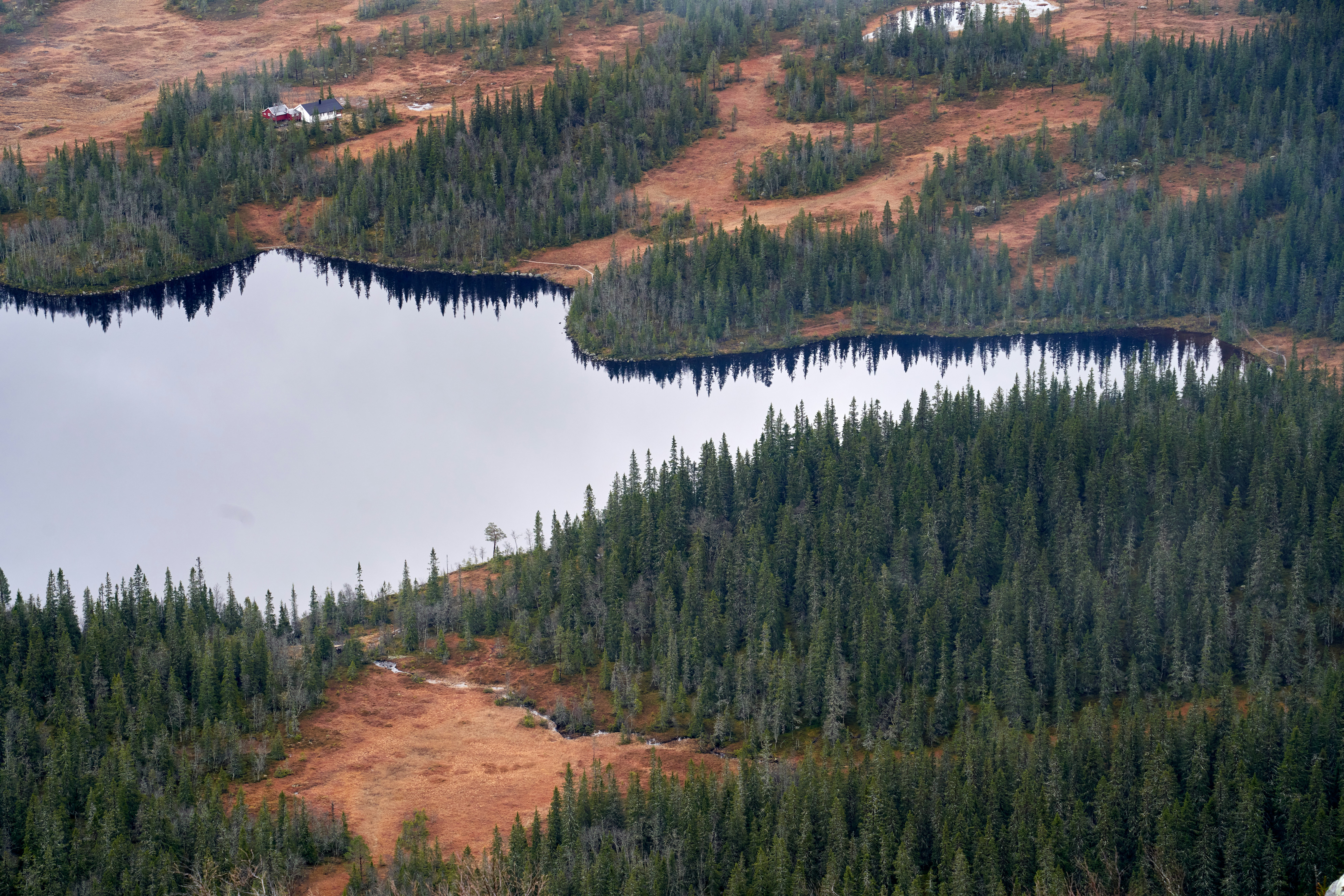 Small wooden cottages by a small lake on the Norwegian highland near Haglebu, surrounded by pine trees reflected in the water
