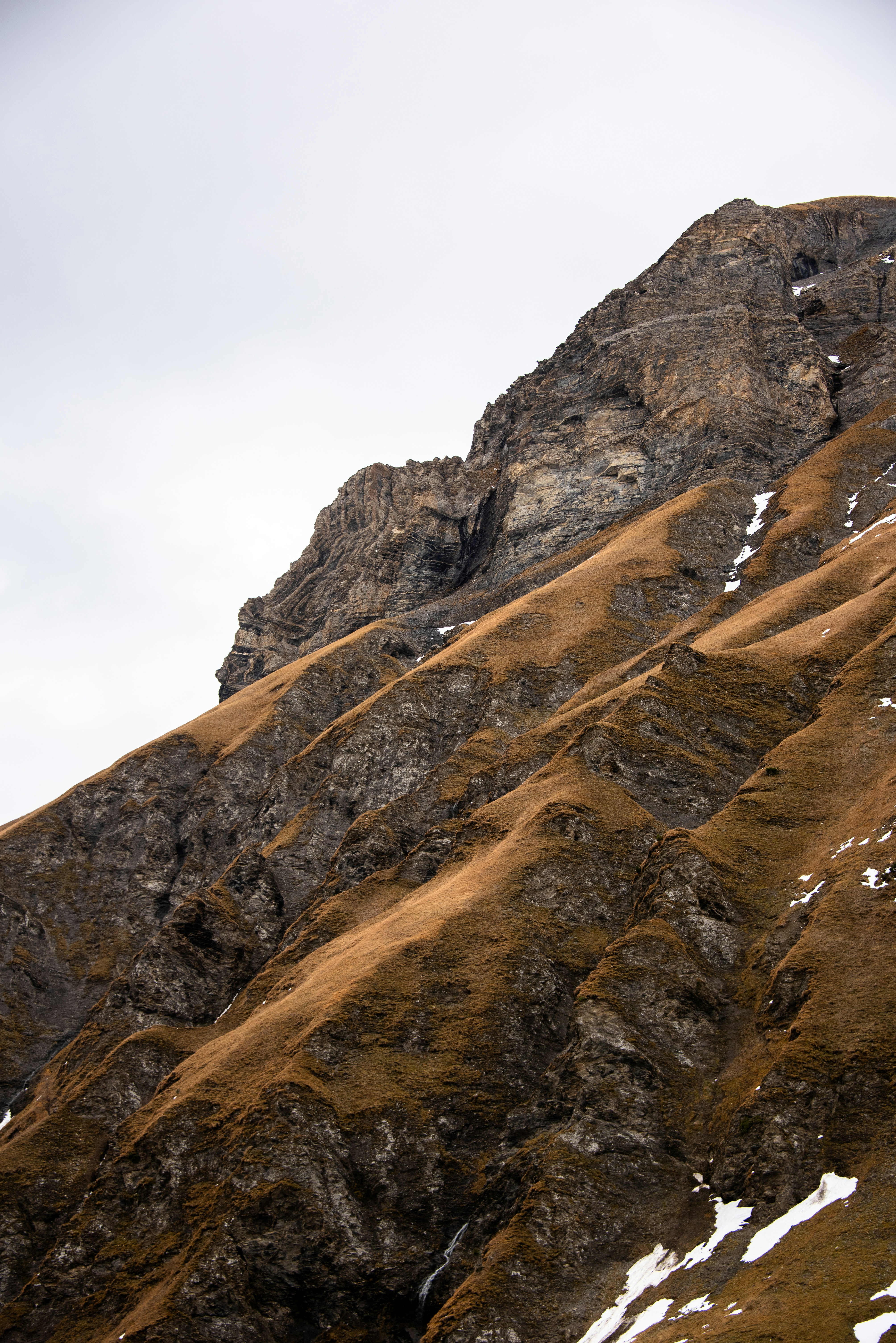 Photo by Marsumilae with Nikon D750