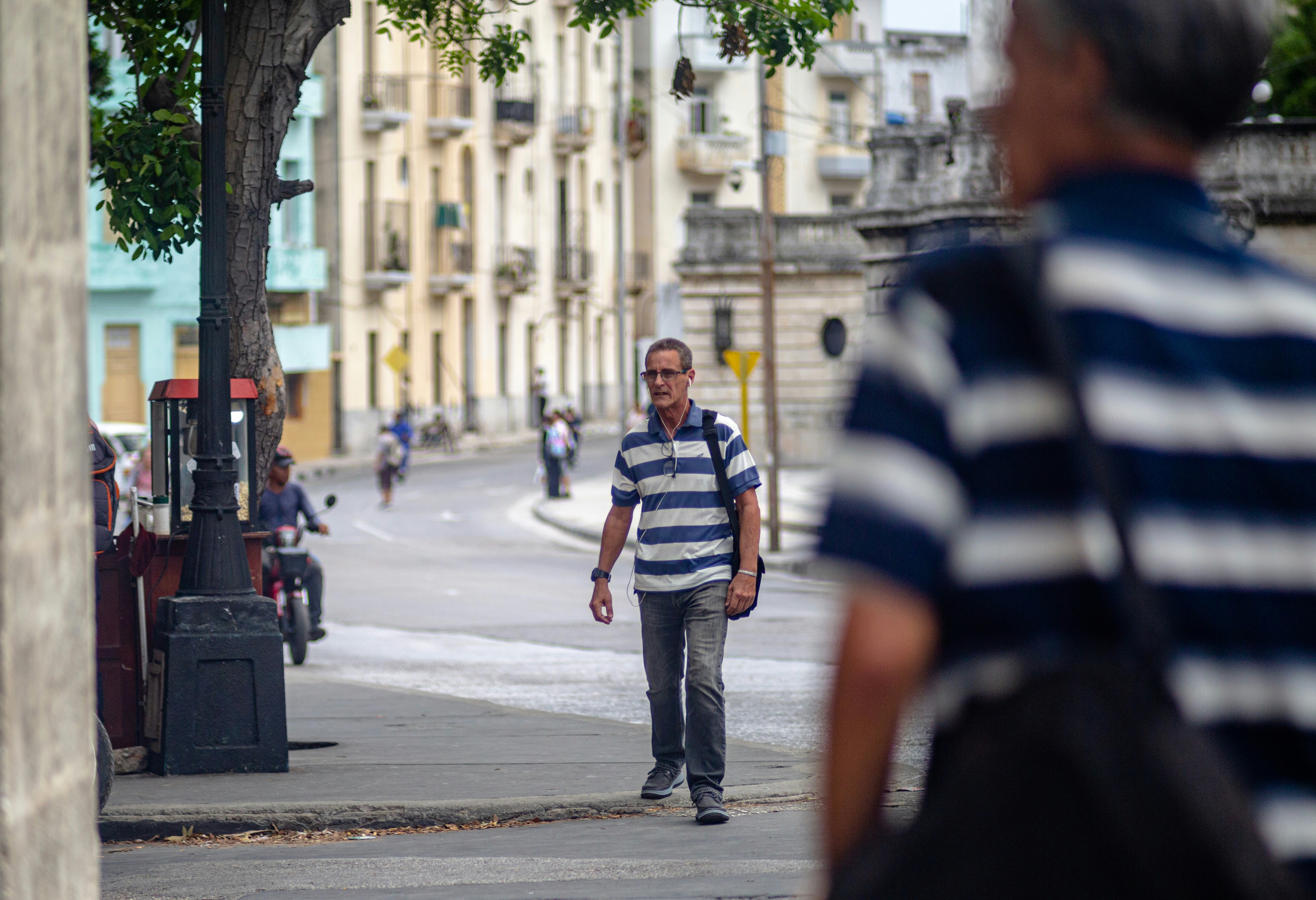 Stripe-Clad Sentinel on a Sunlit City Avenue