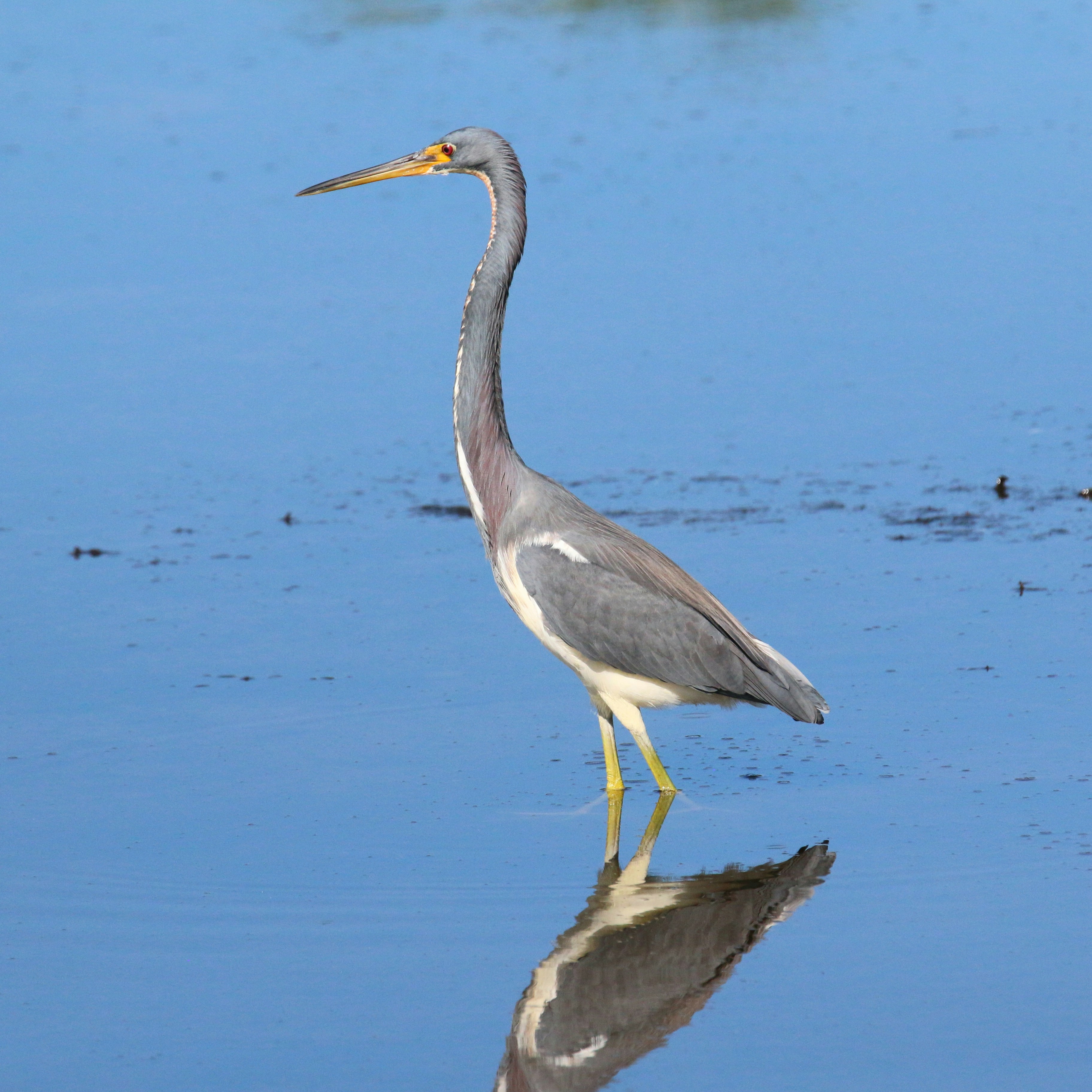 Photo by Paul Crook with Canon EOS 70D