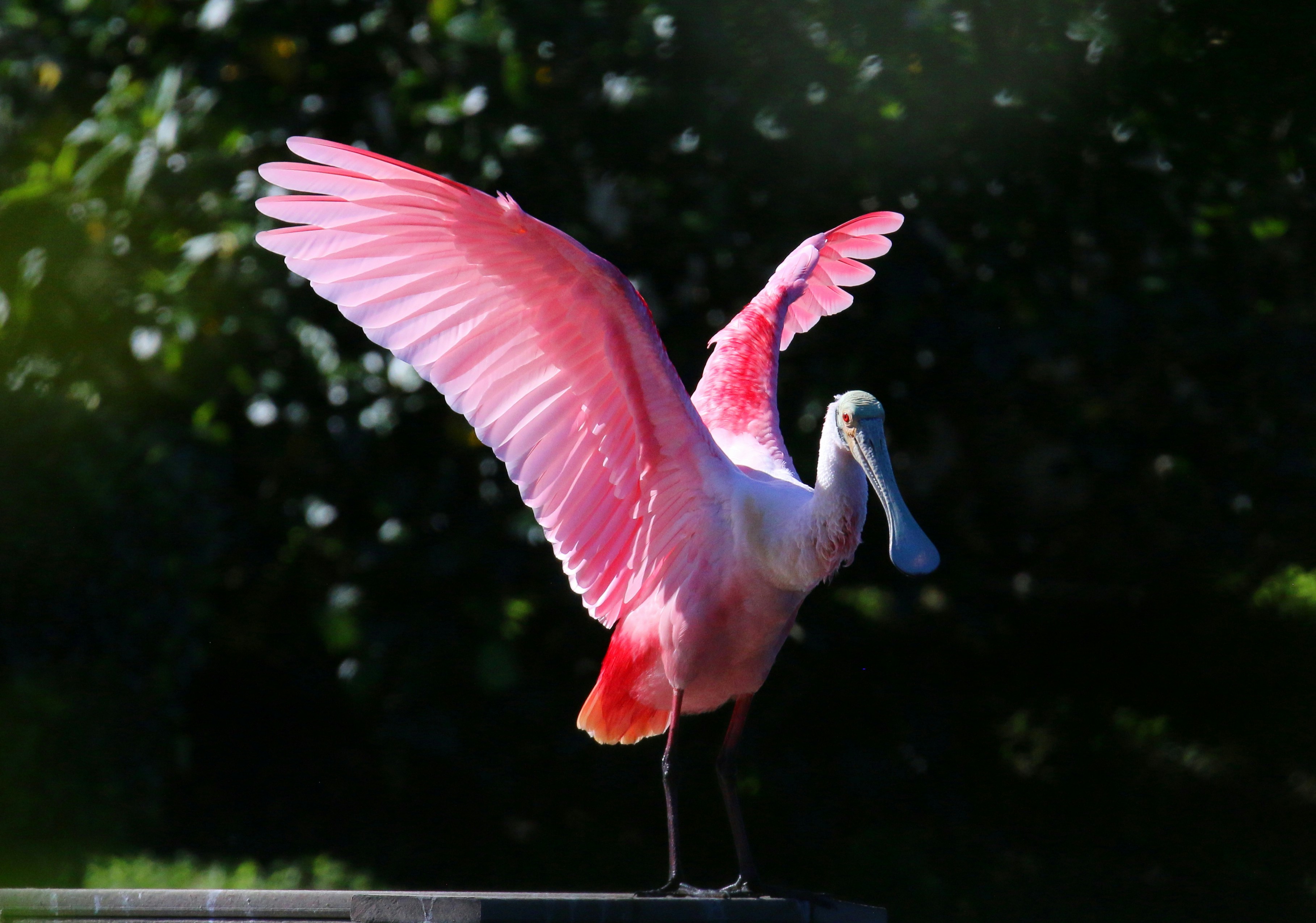 Photo by Paul Crook with Canon EOS 70D