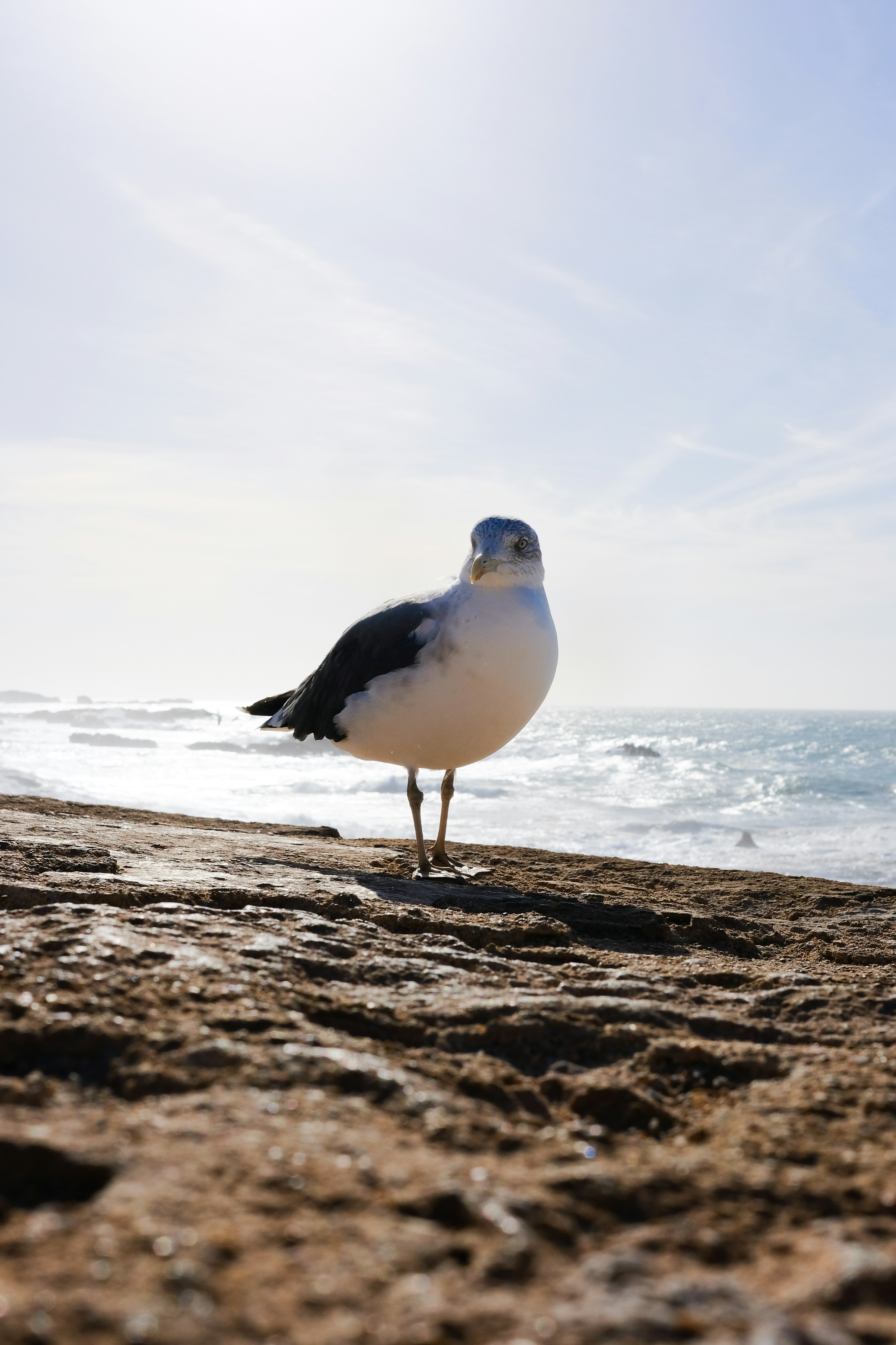 Photo by Falco Negenman with Fujifilm X-E3