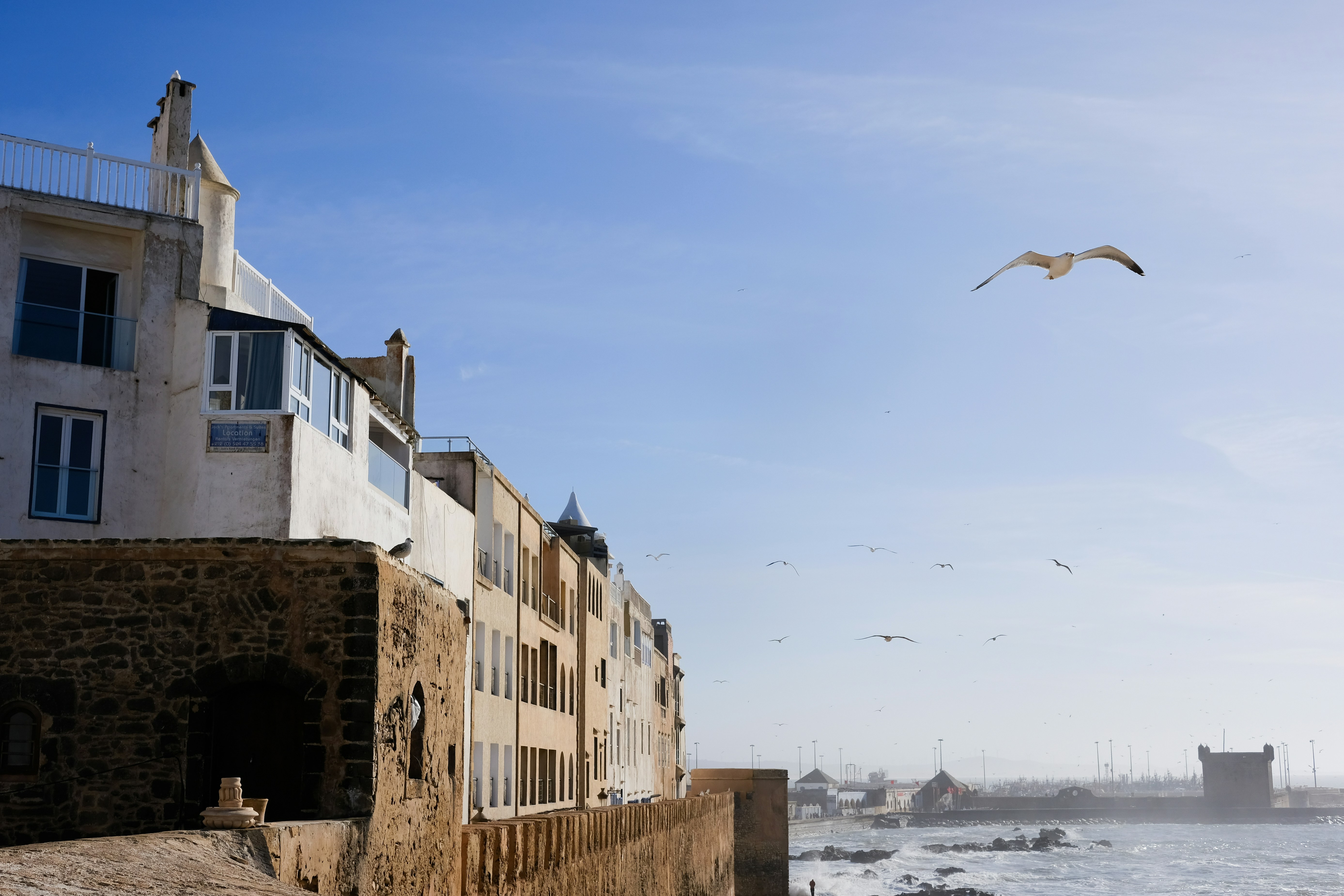 Sunlit Harborfront: Weathered Walls and a Seagull in Flight