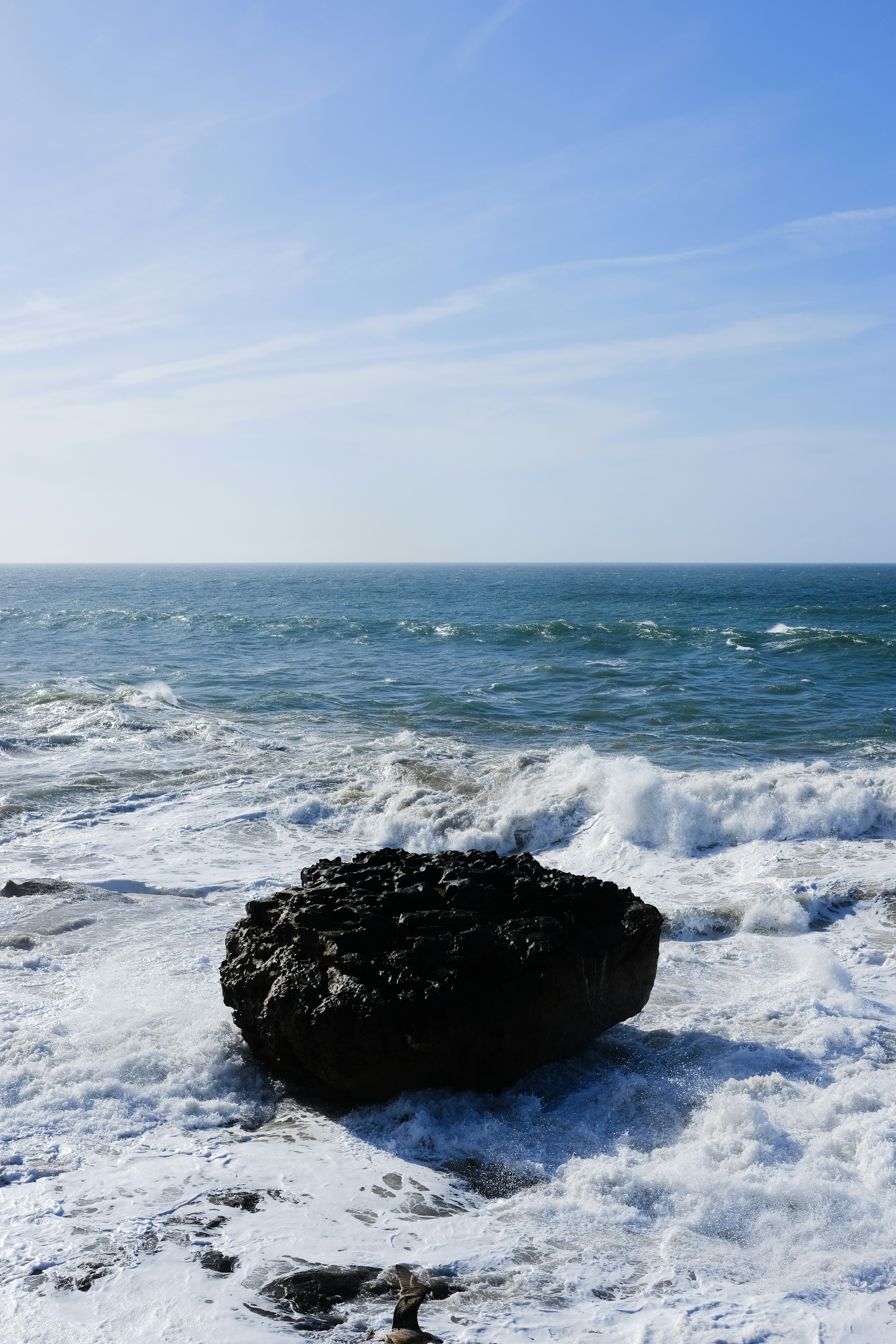 Photo by Falco Negenman with Fujifilm X-E3