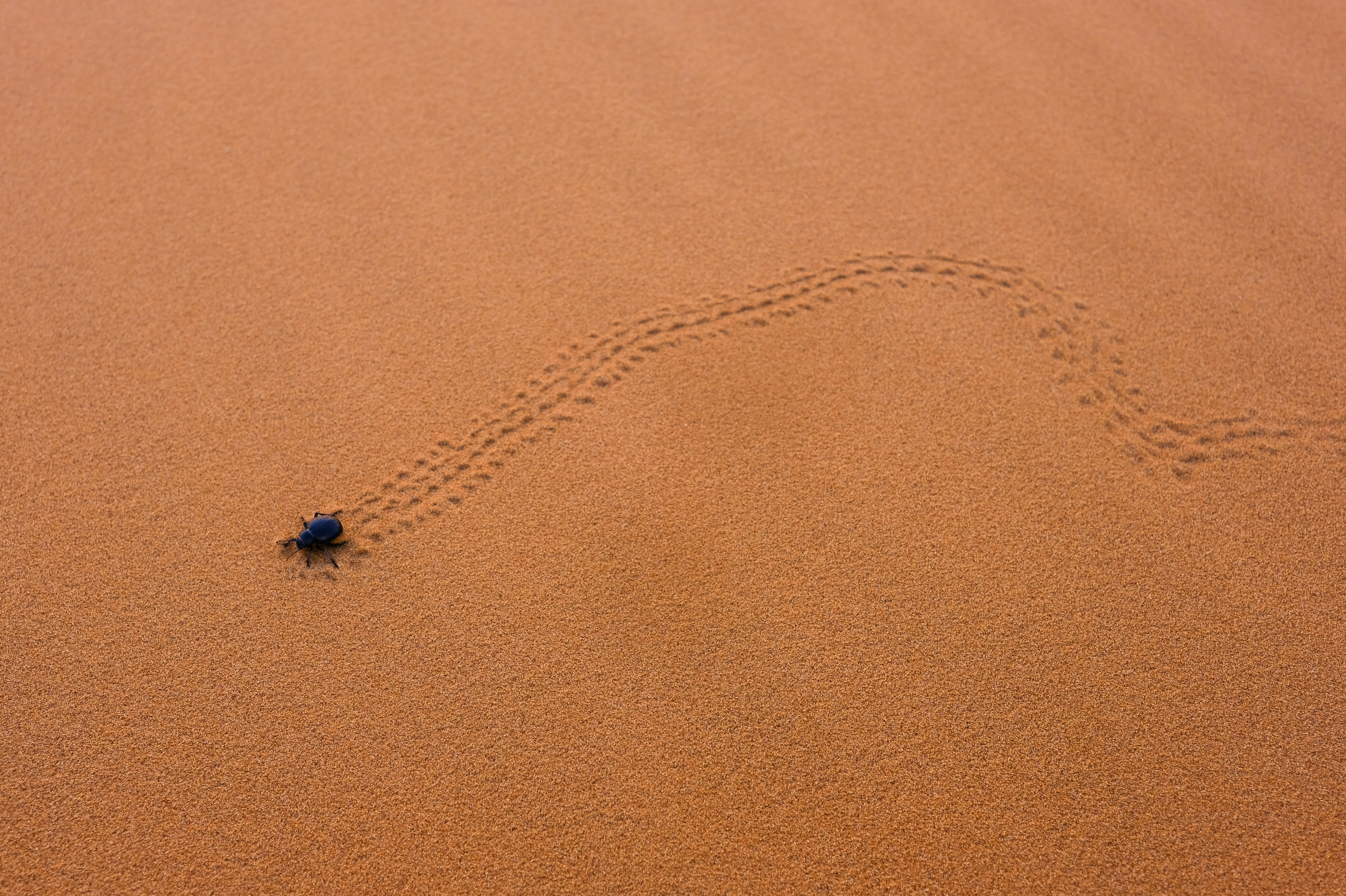 Photo by Falco Negenman with Fujifilm X-E3