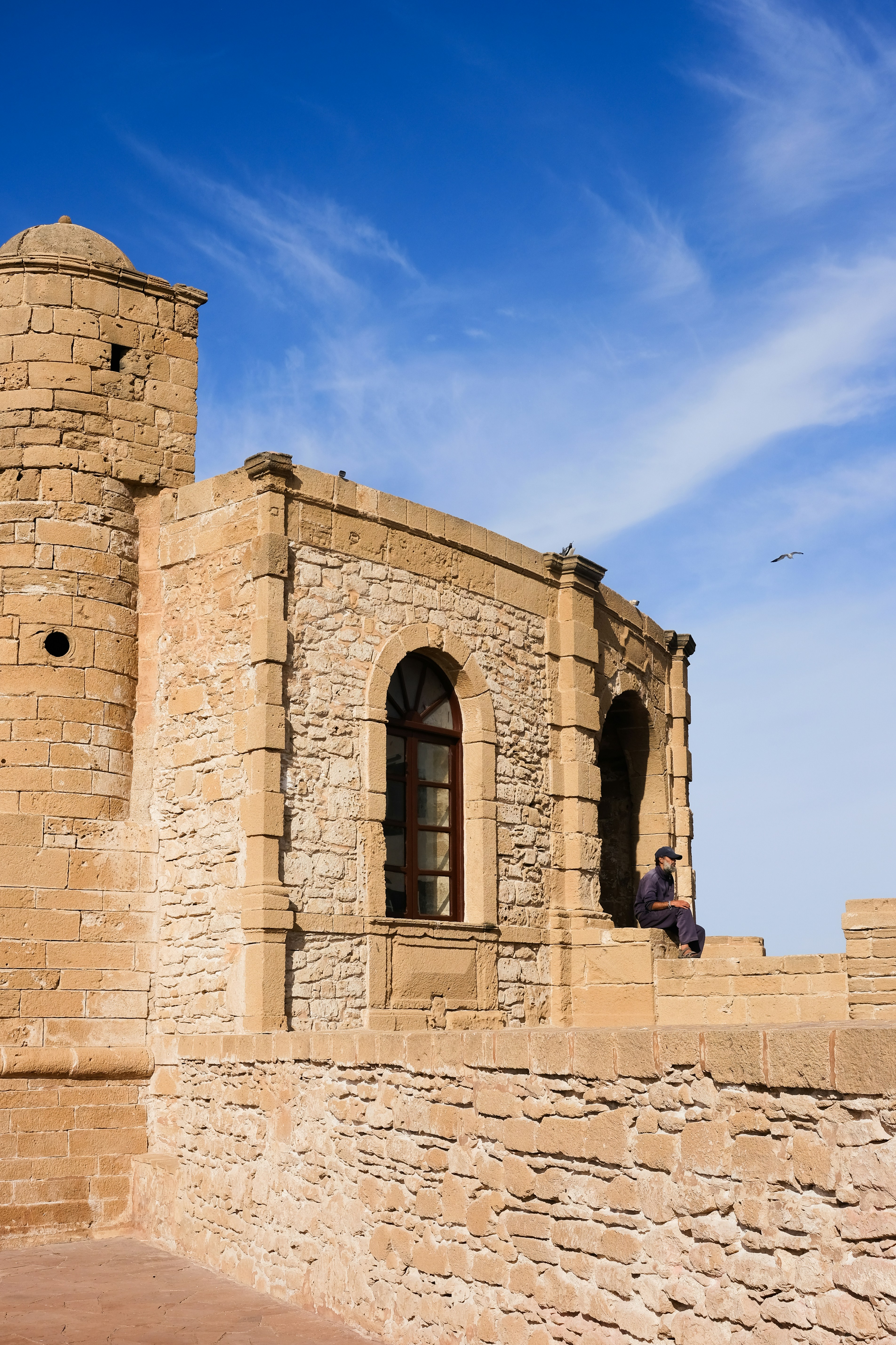 Solitary Observer on a Sunlit Bastion