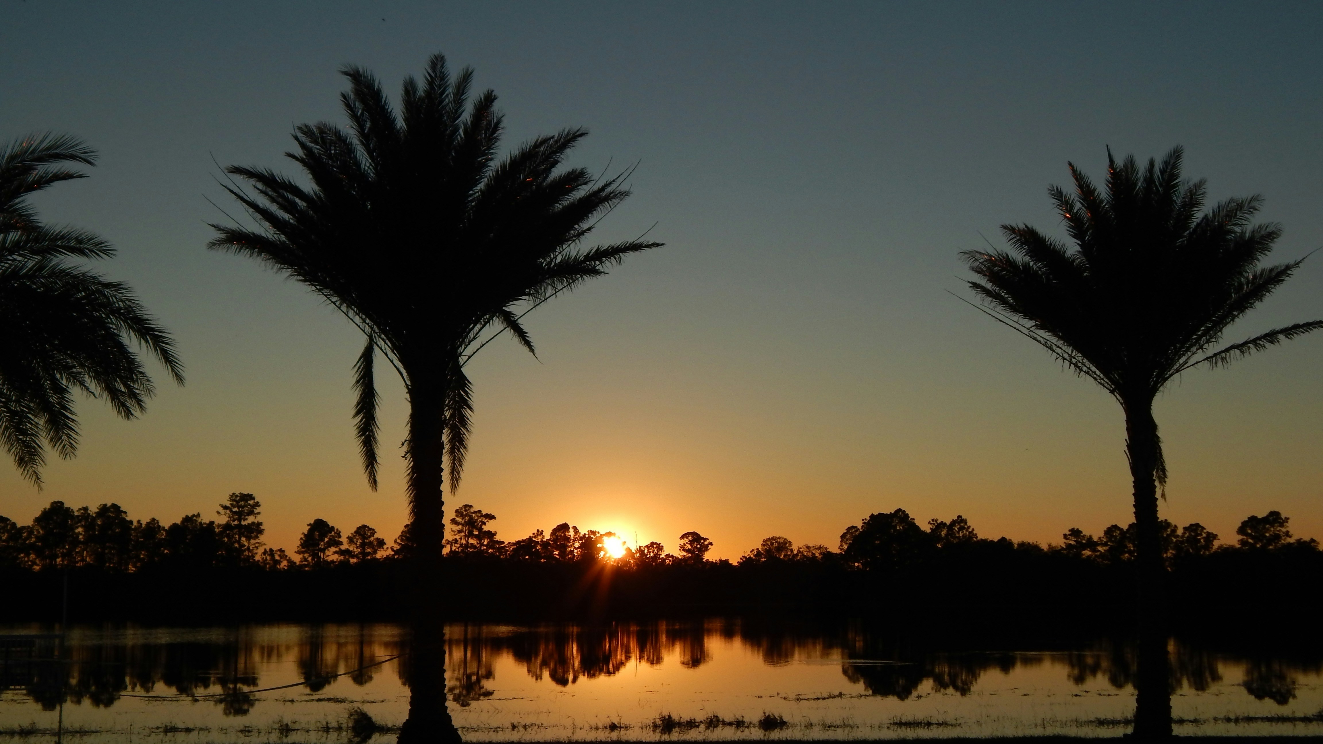 Photo by Chris Marlin with Nikon Coolpix L820