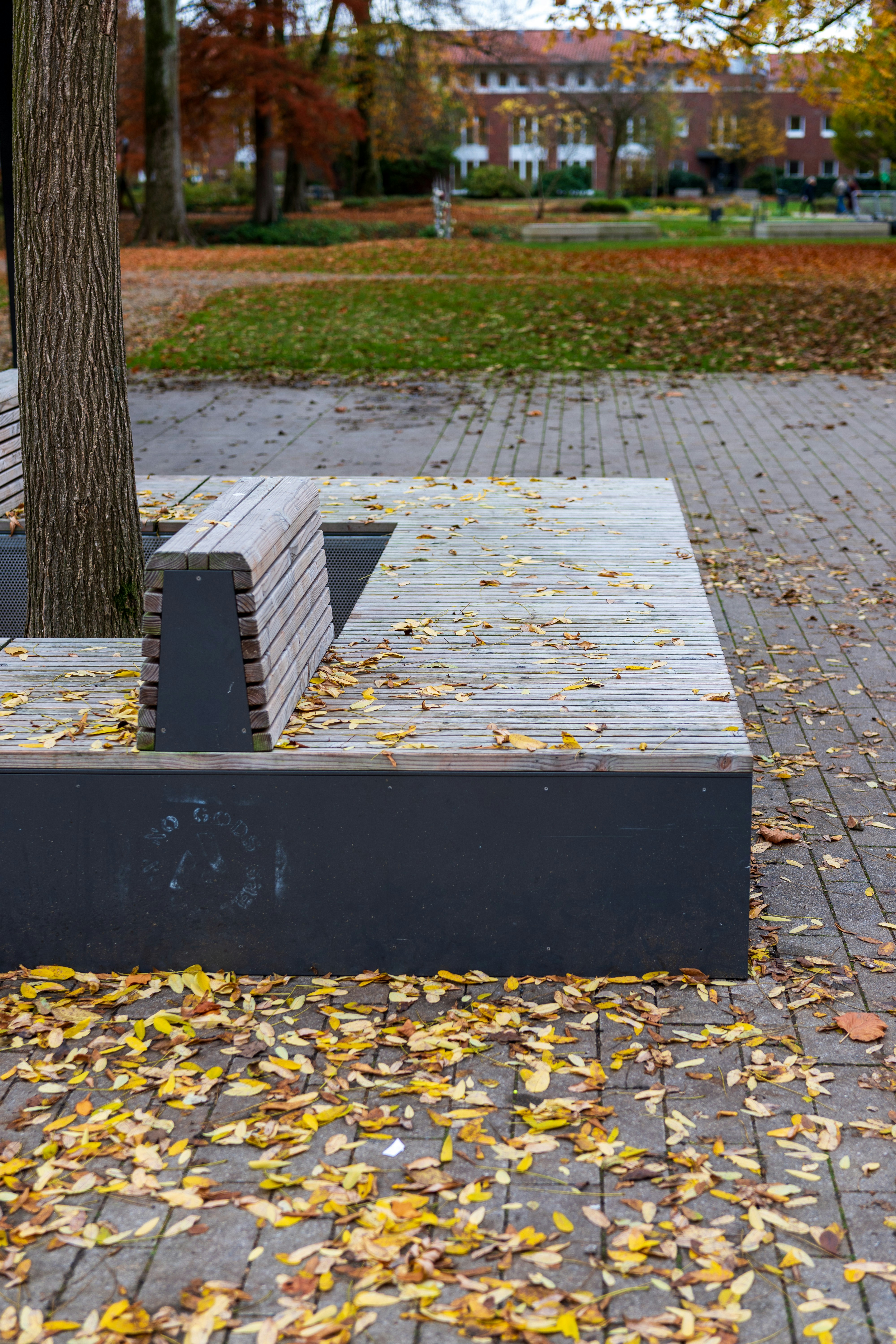 Autumn Quiet: A Campus Bench Framed by Leaves and Light