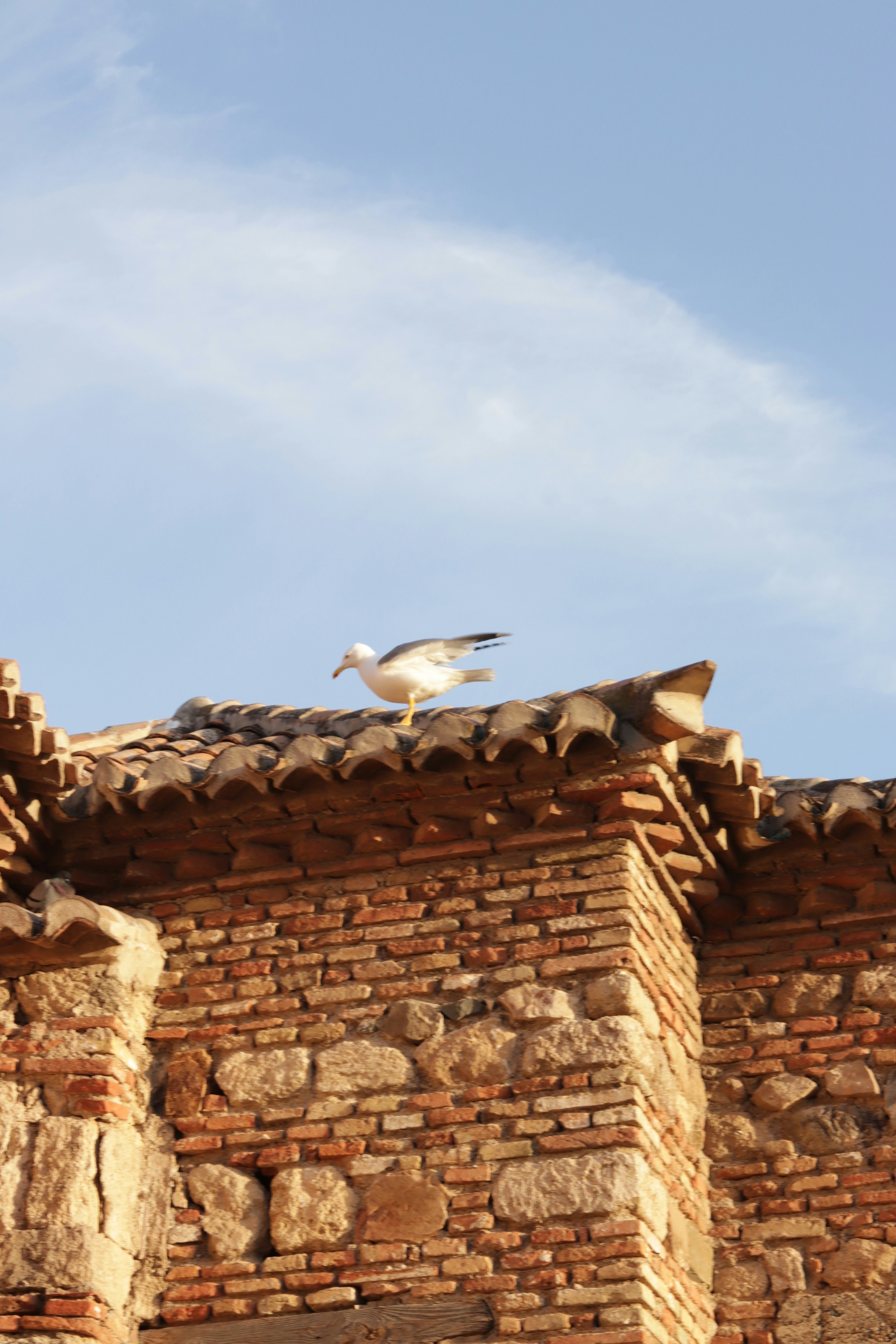 Photo by olga safronova with Canon EOS 800D