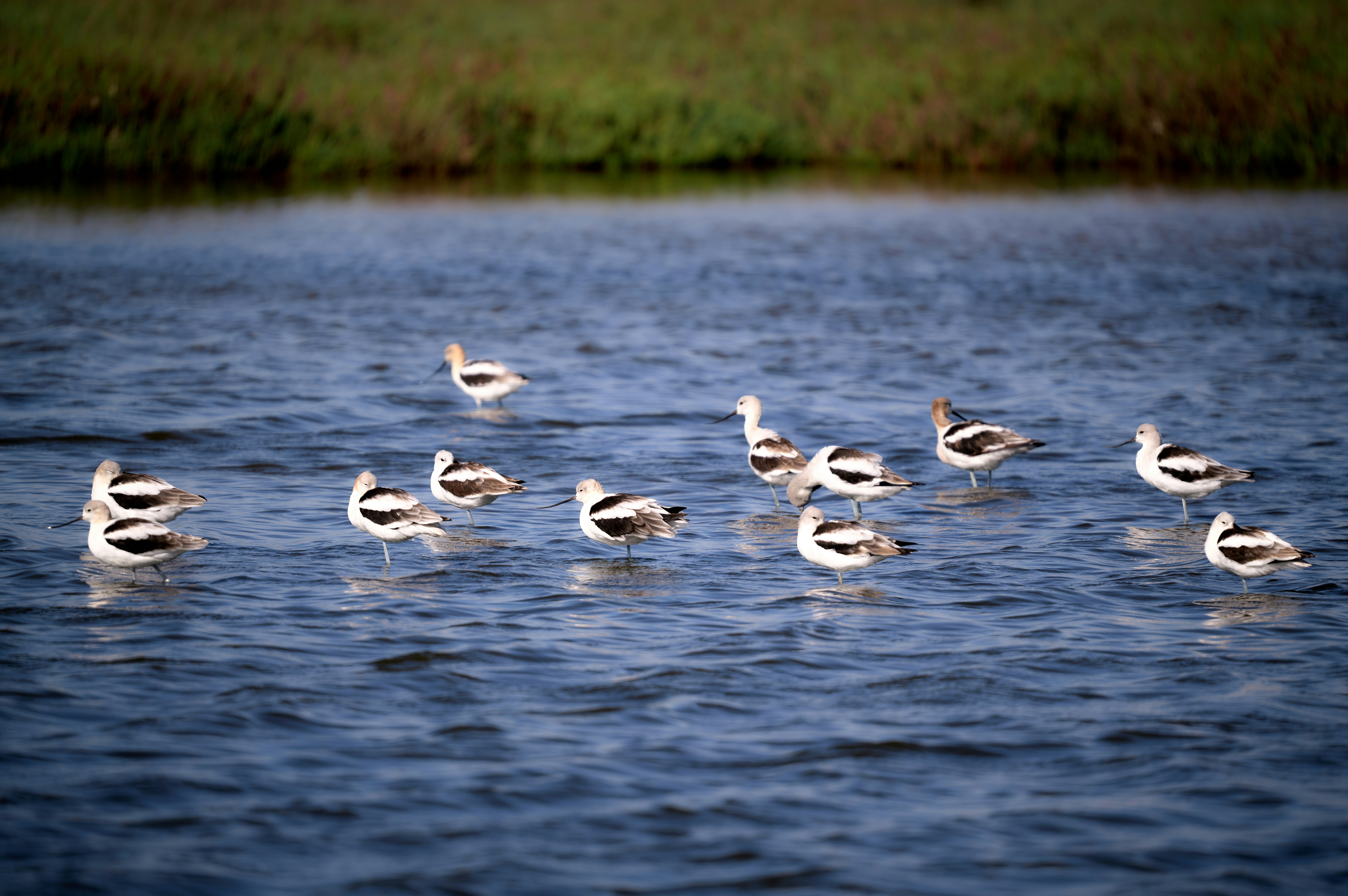 Photo by Luke Yang with Sigma fp L