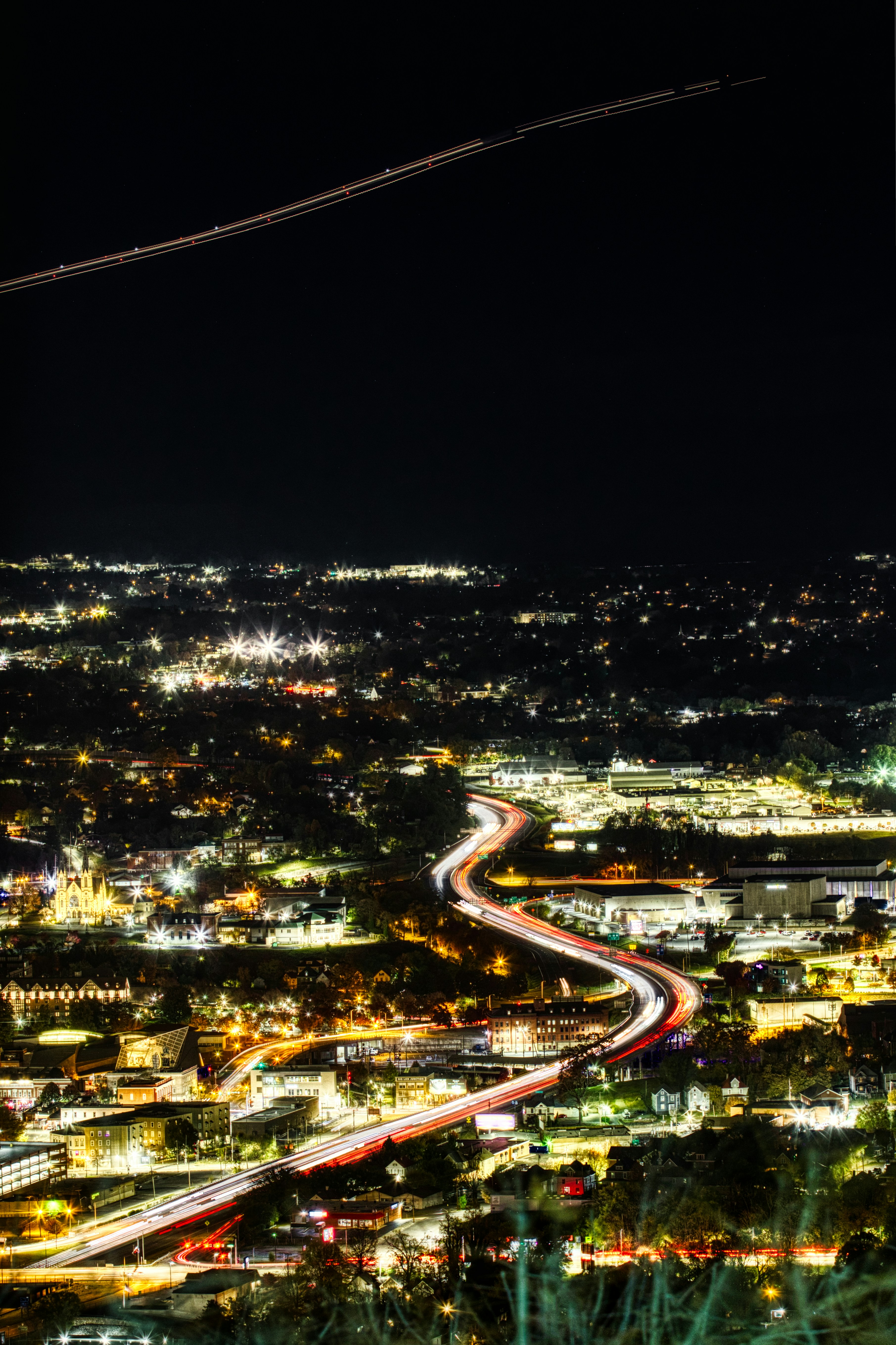 Luminous Serpent over the Night City