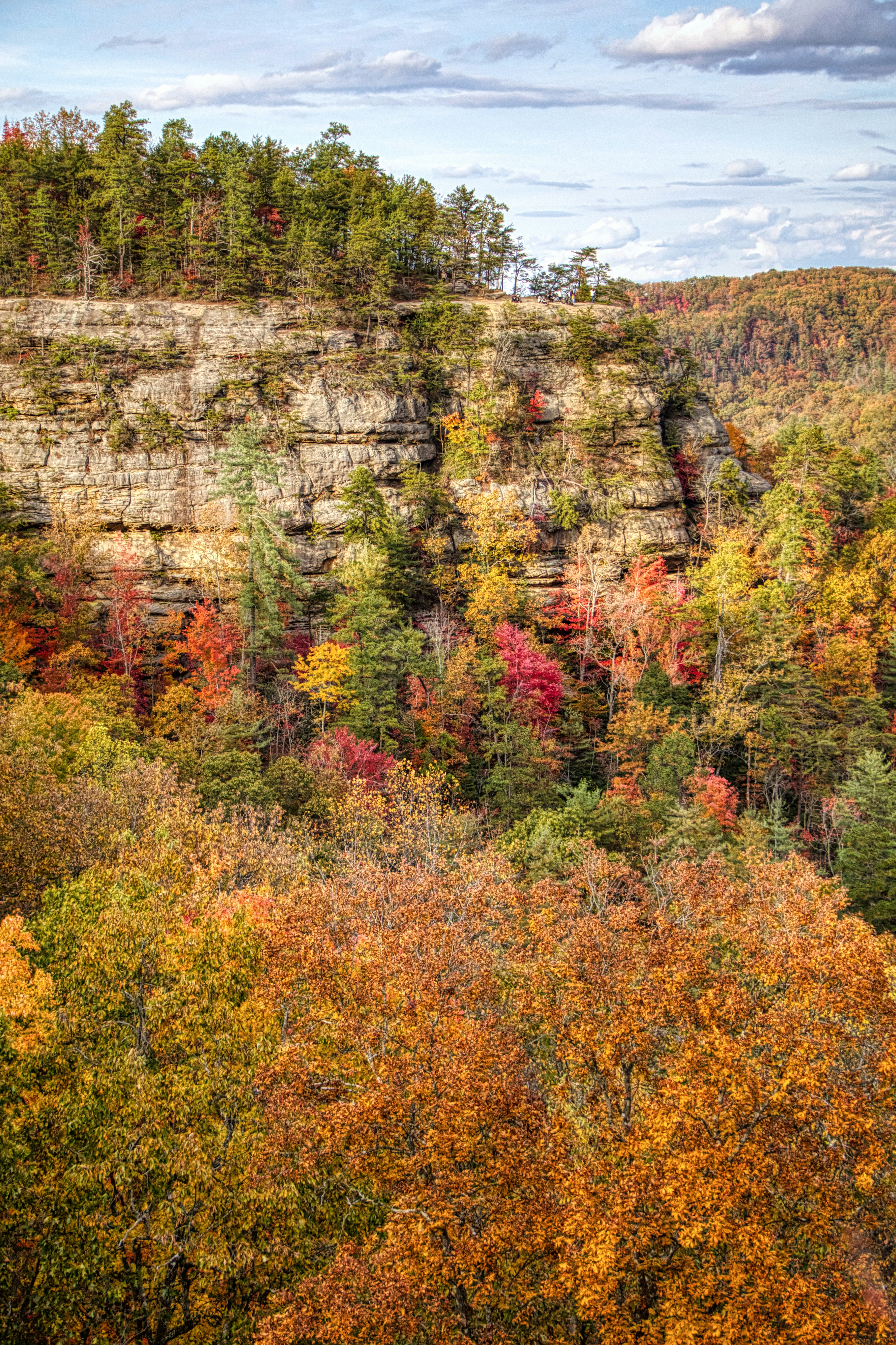 Autumn Cliffline: A Mosaic of Fall Colors Beneath the Overcast Sky