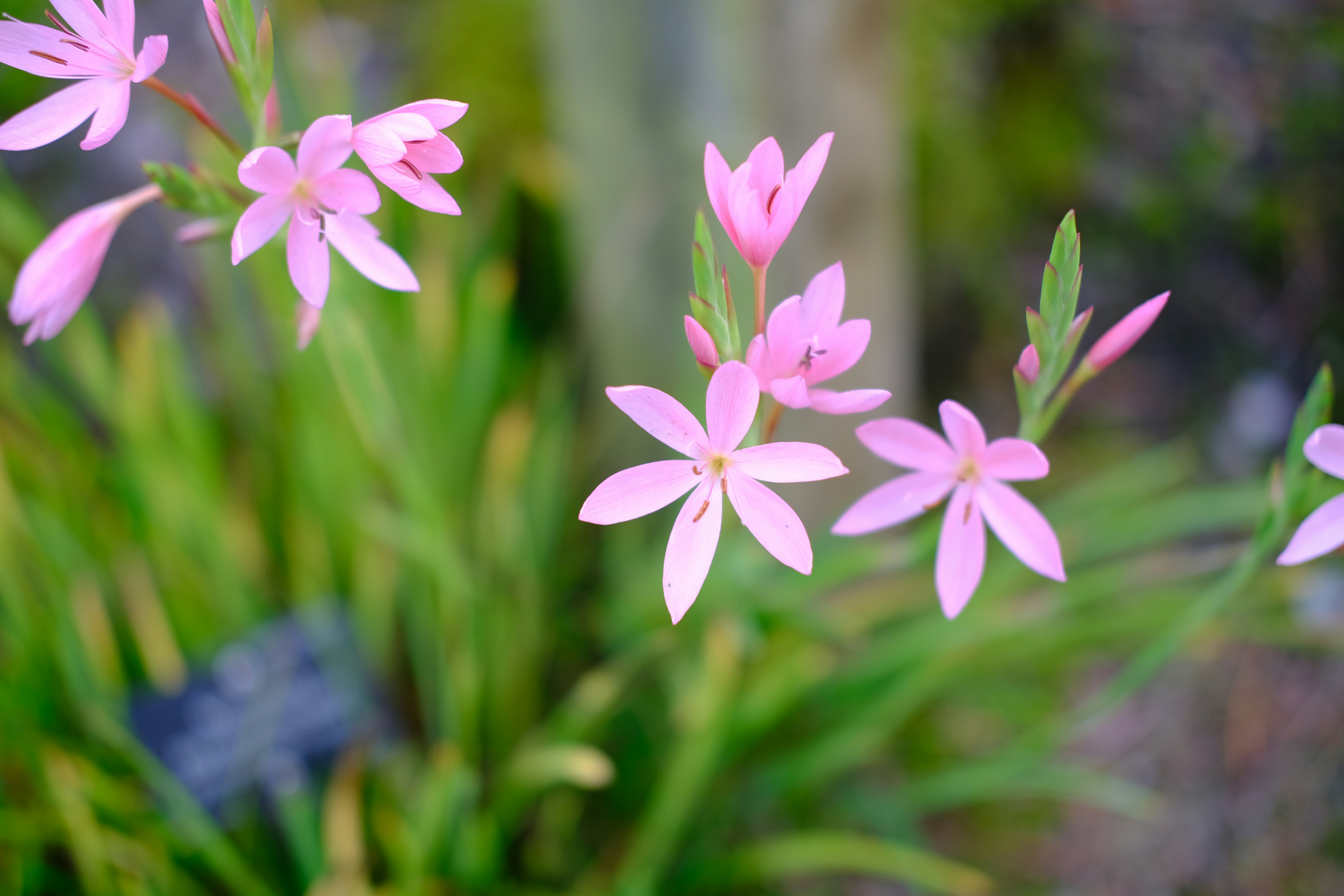 Photo by Andrei Ovidiu with Fujifilm X-T3