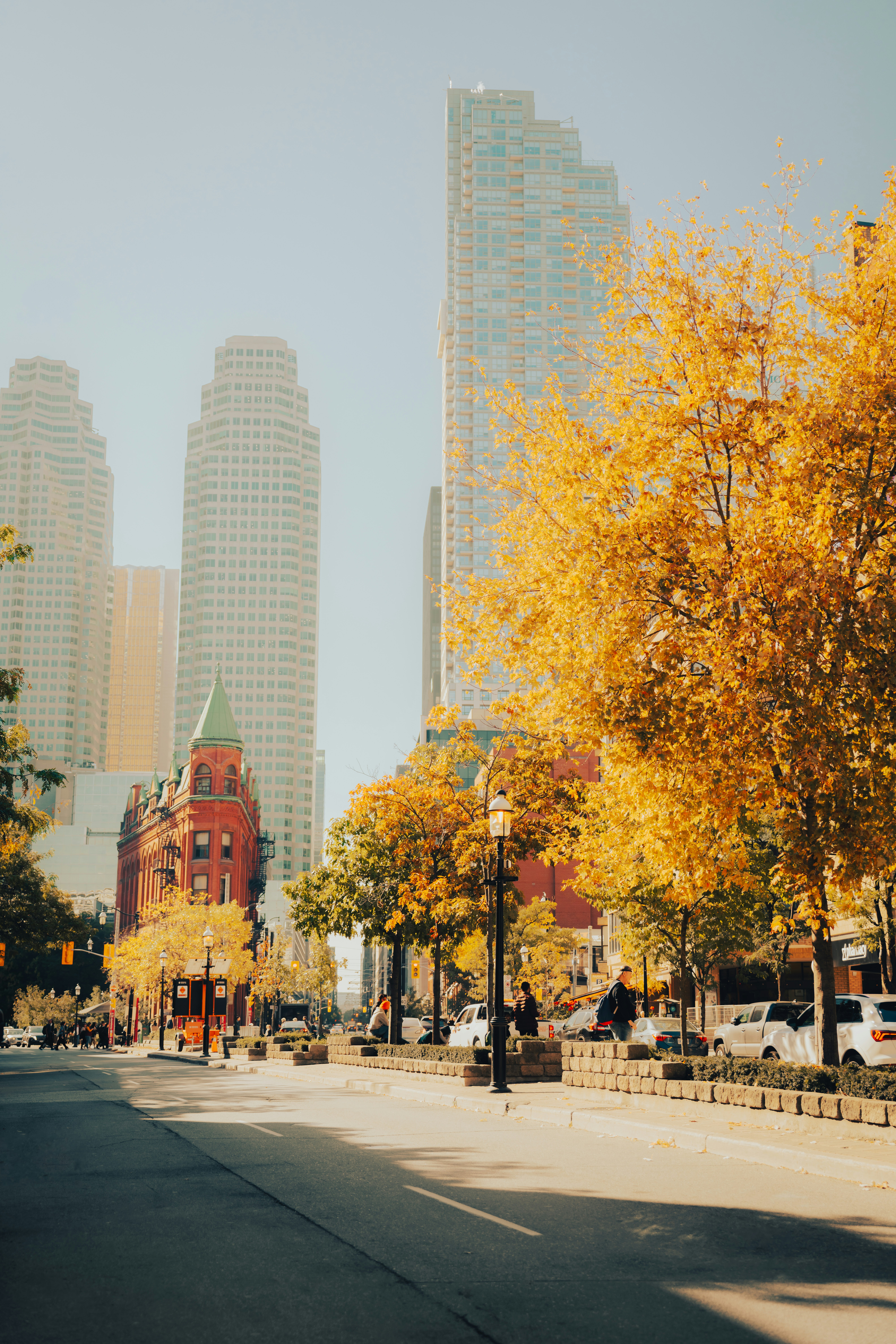 Photo by Damian Kravchuk with Sony Alpha 7R V