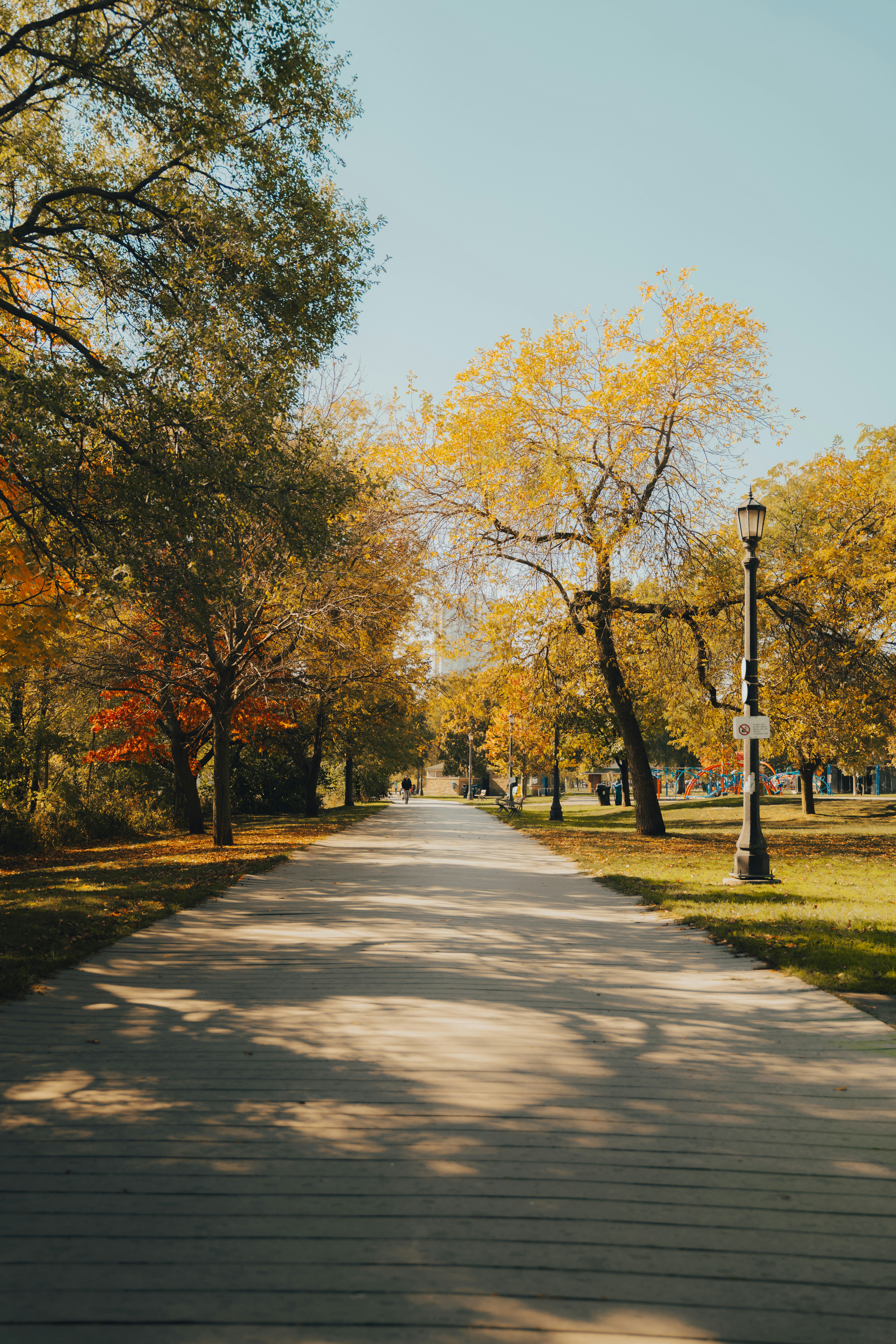 Photo by Damian Kravchuk with Sony Alpha 7R V