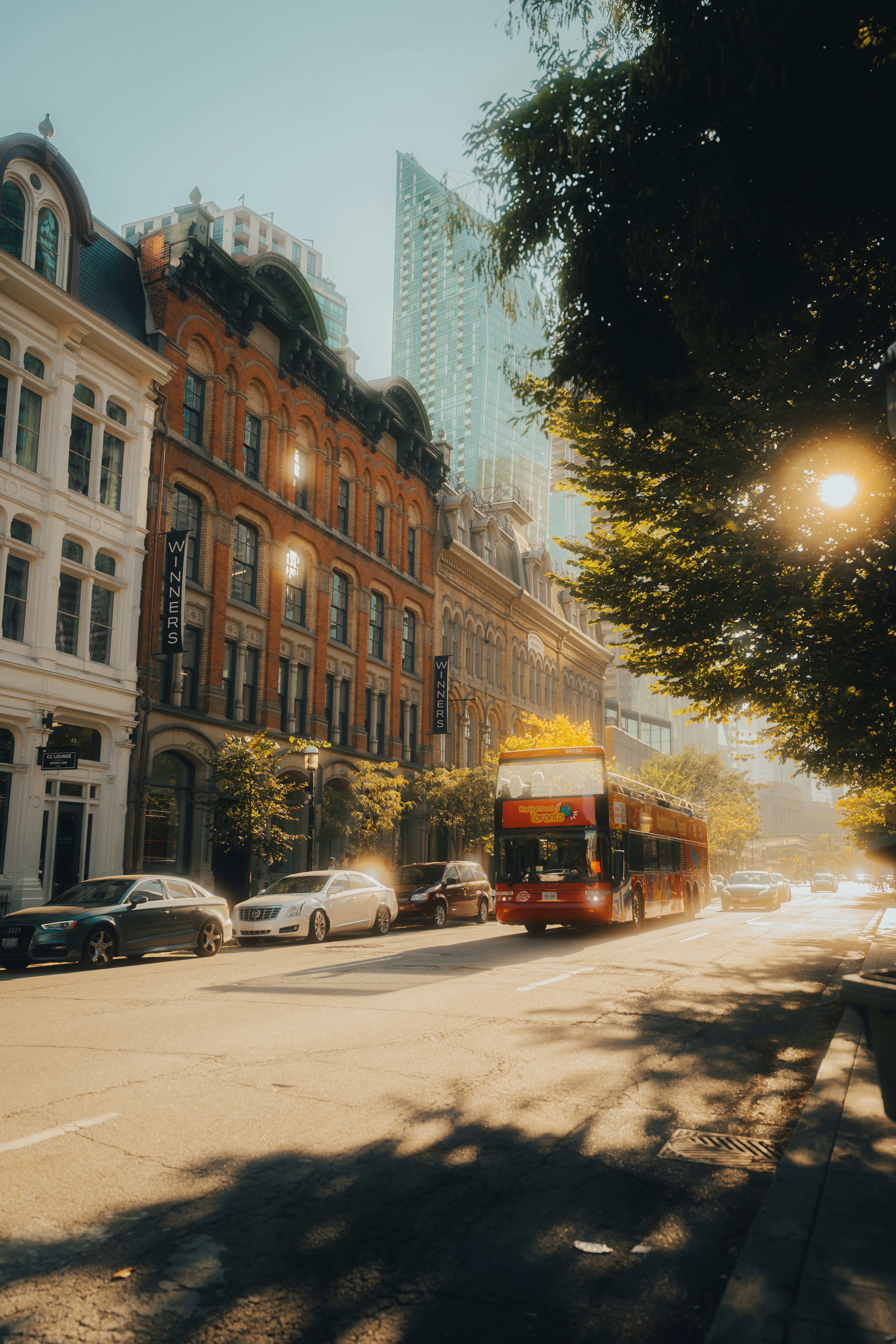 Red Bus in Golden Hour: Brick Facades and Tree-Dappled Street