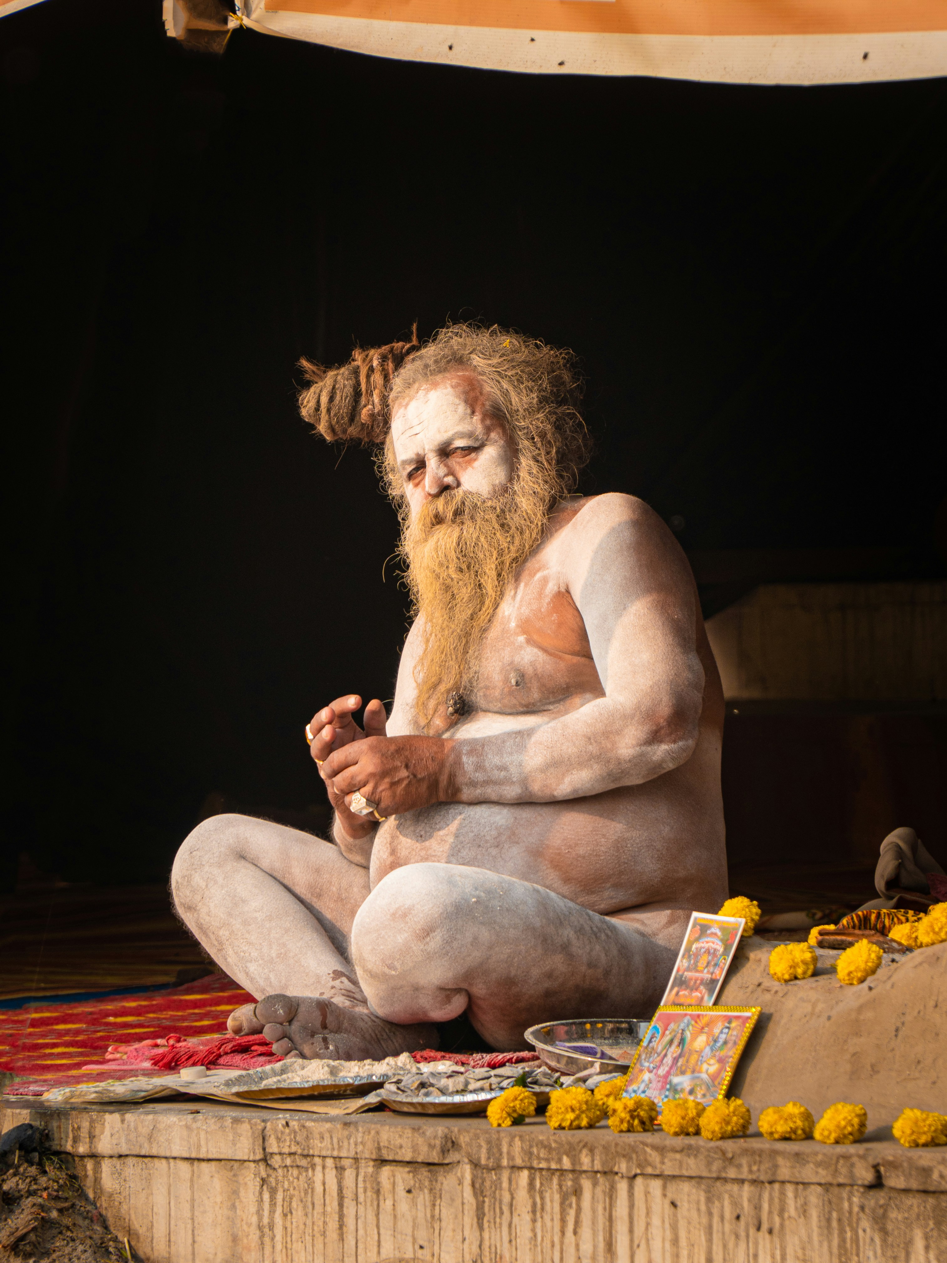 Meditative Recluse: A Hairy Ascetic in Quiet Illumination