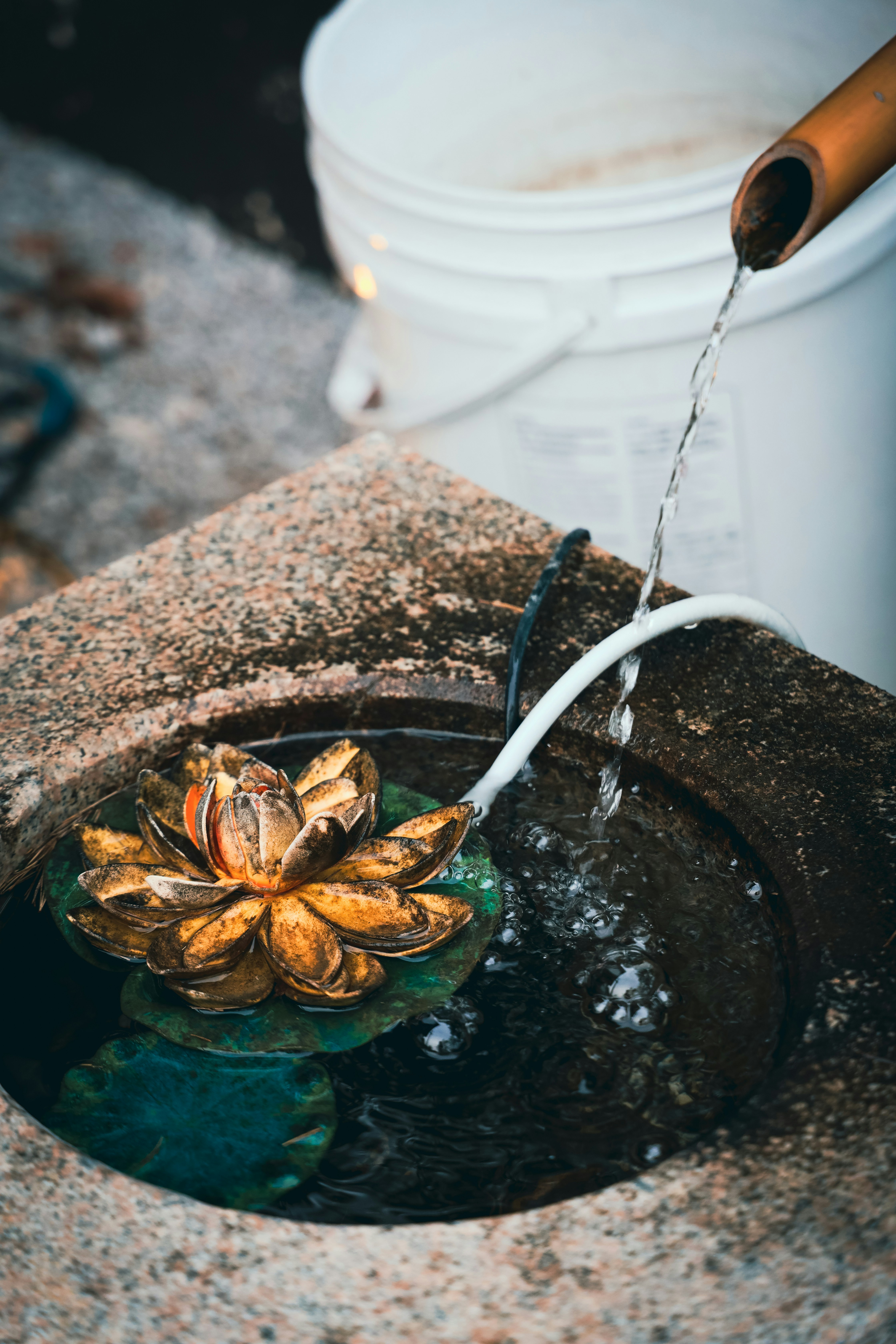 Photo by DOKYUNG KIM with Canon EOS R