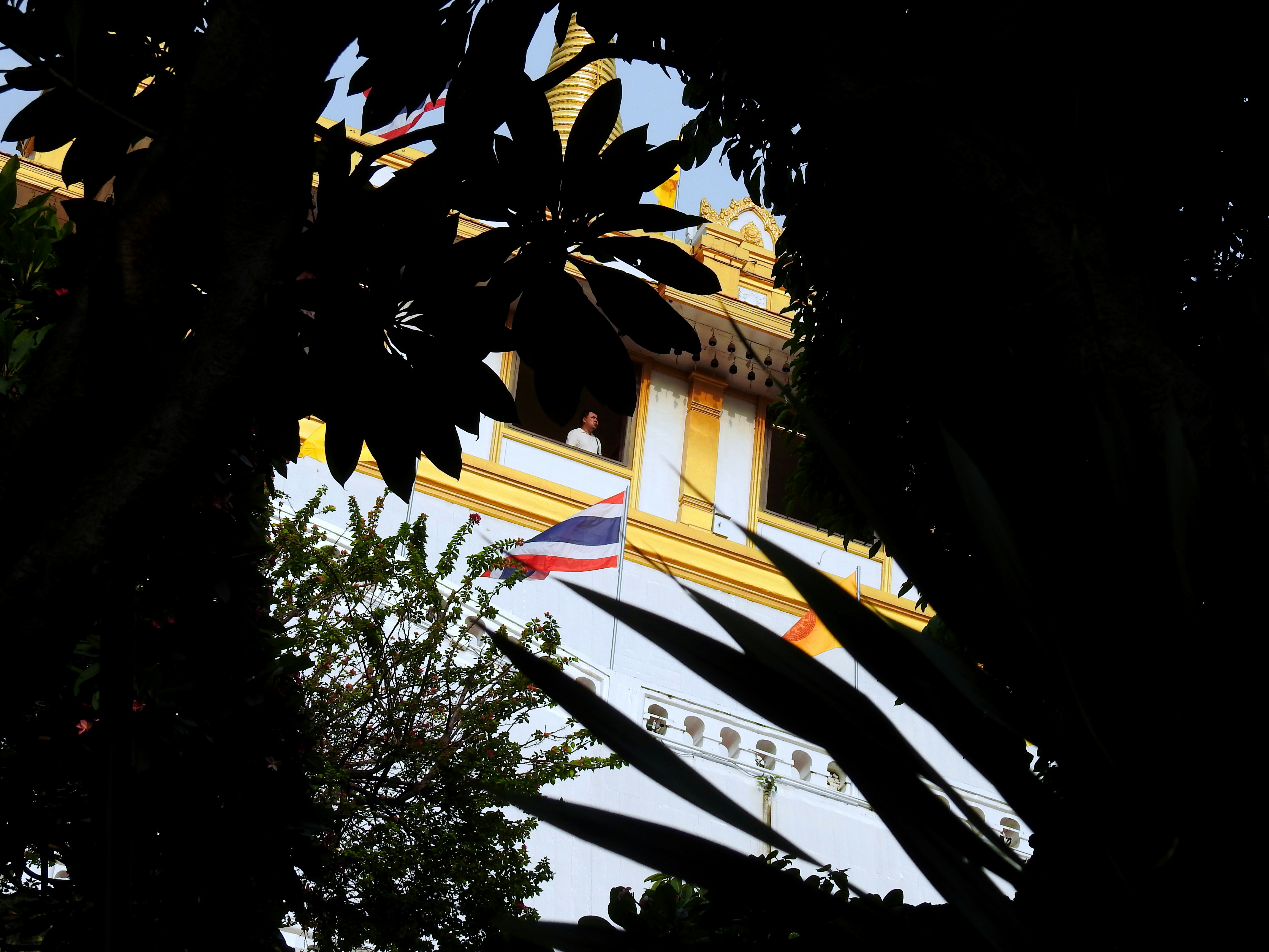 Man looking outisde of Golden Mount