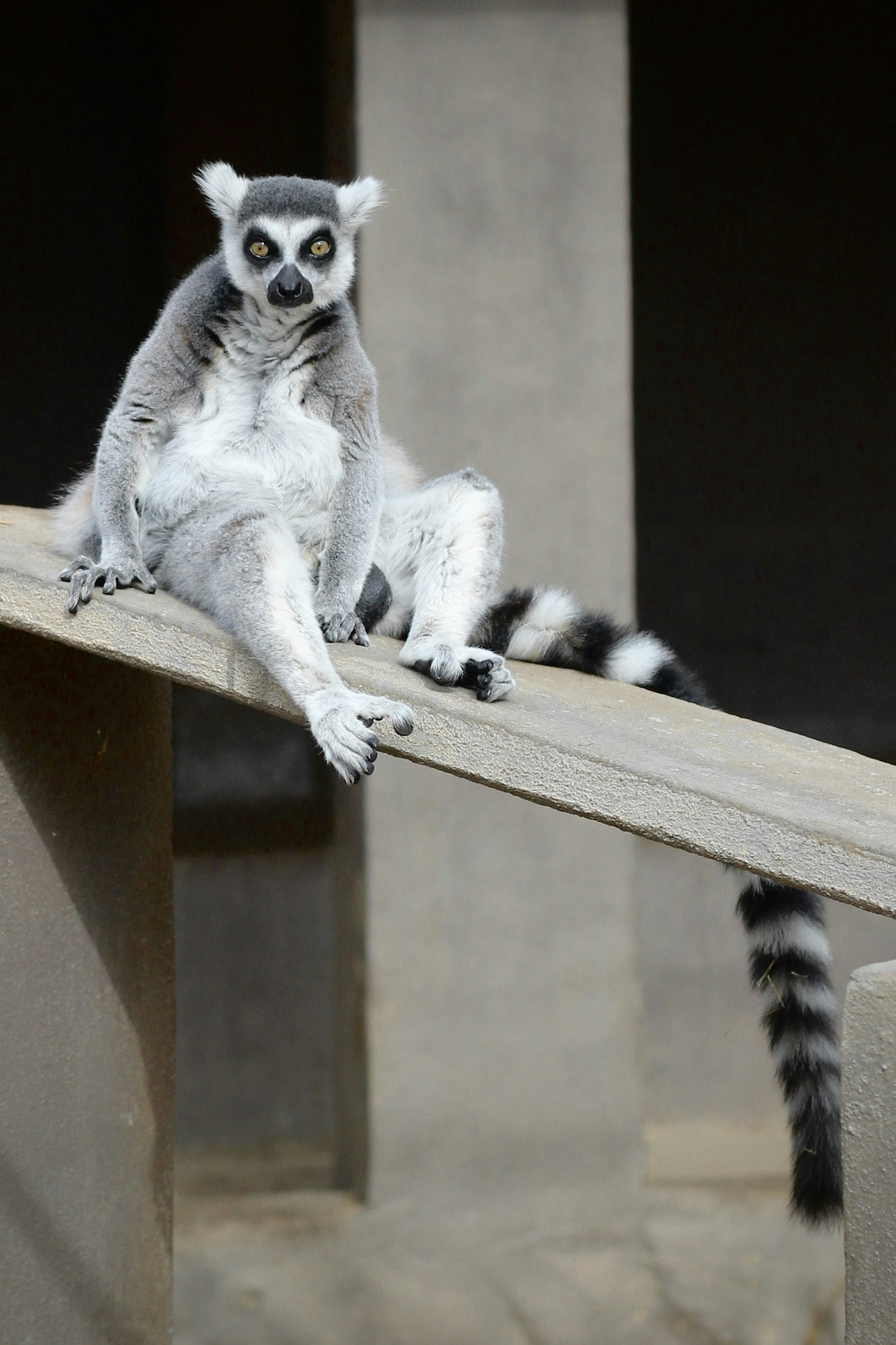 Photo by Lorenzo Turroni with Canon EOS 1300D