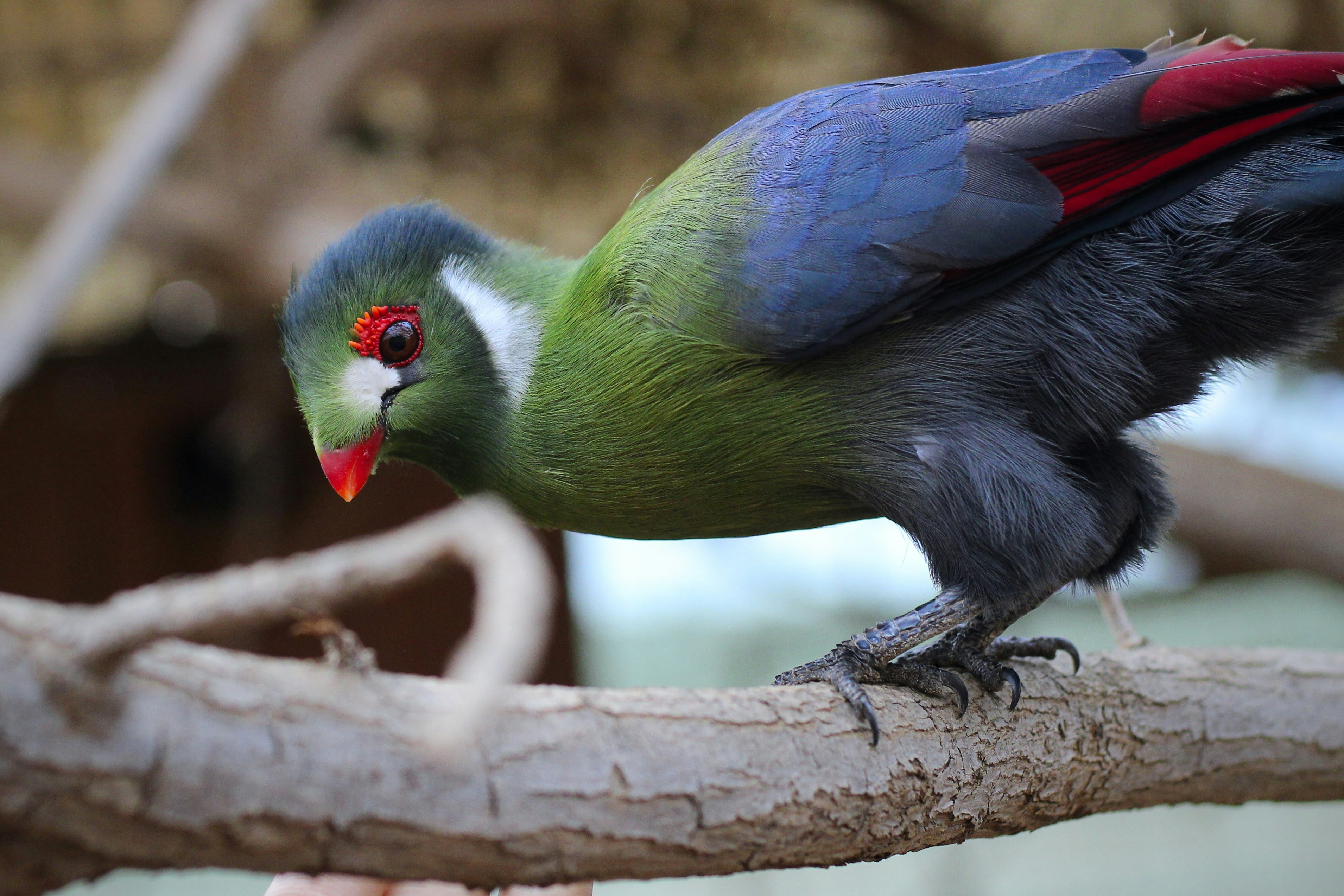 Photo by Lorenzo Turroni with Canon EOS 1300D