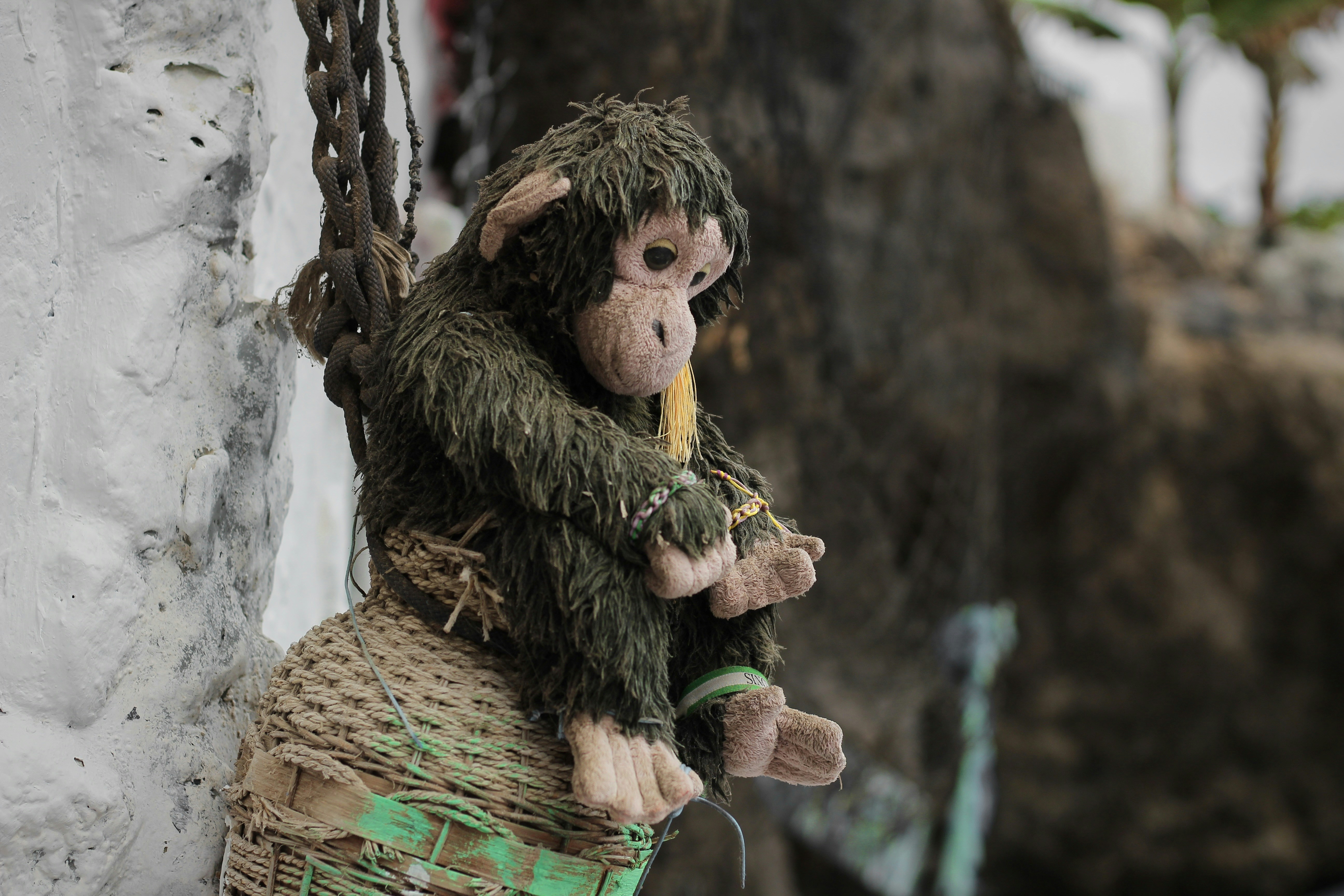 Photo by Lorenzo Turroni with Canon EOS 1300D