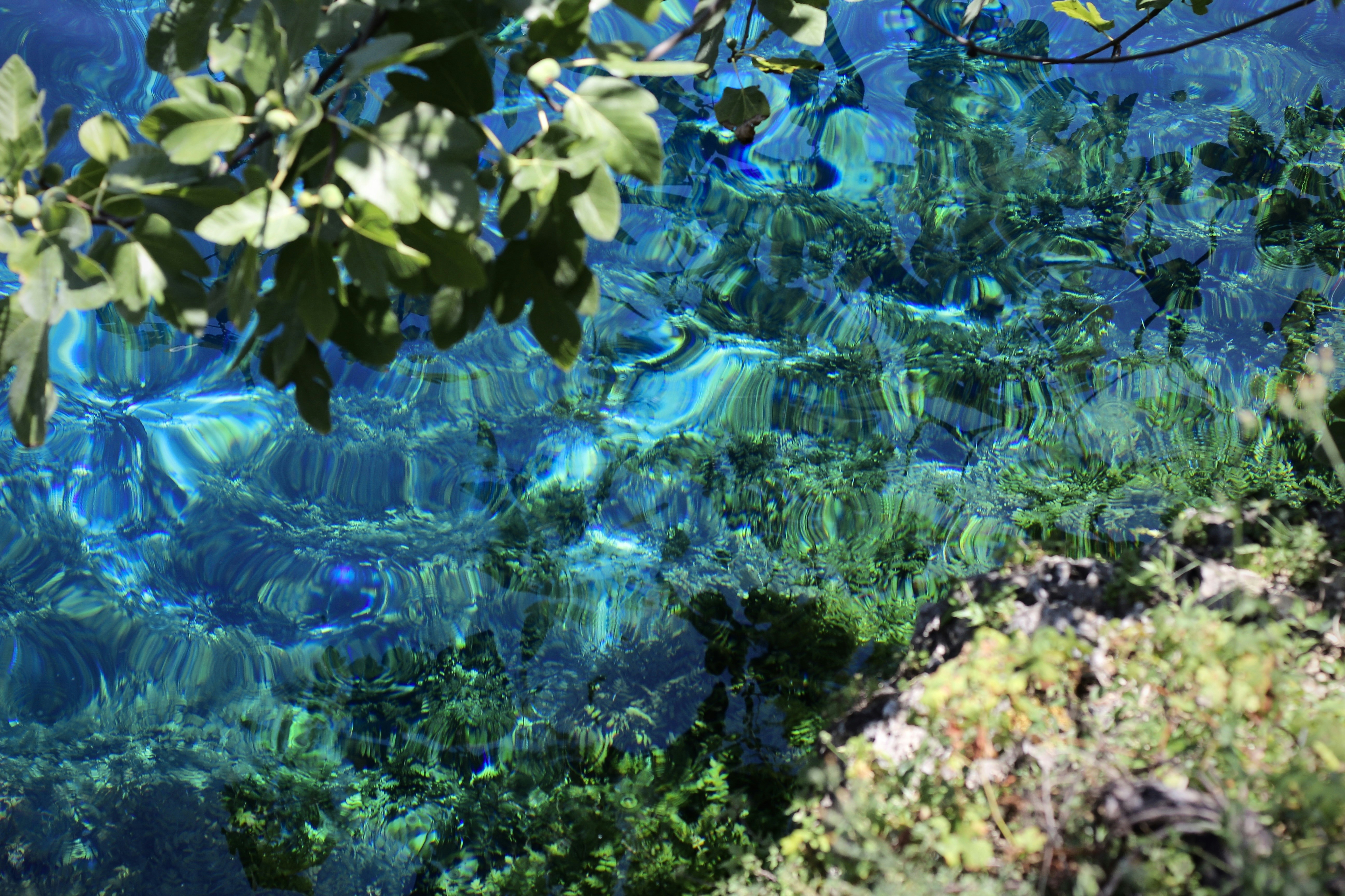 Turquoise Quietude Along a Mossy Shoreline
