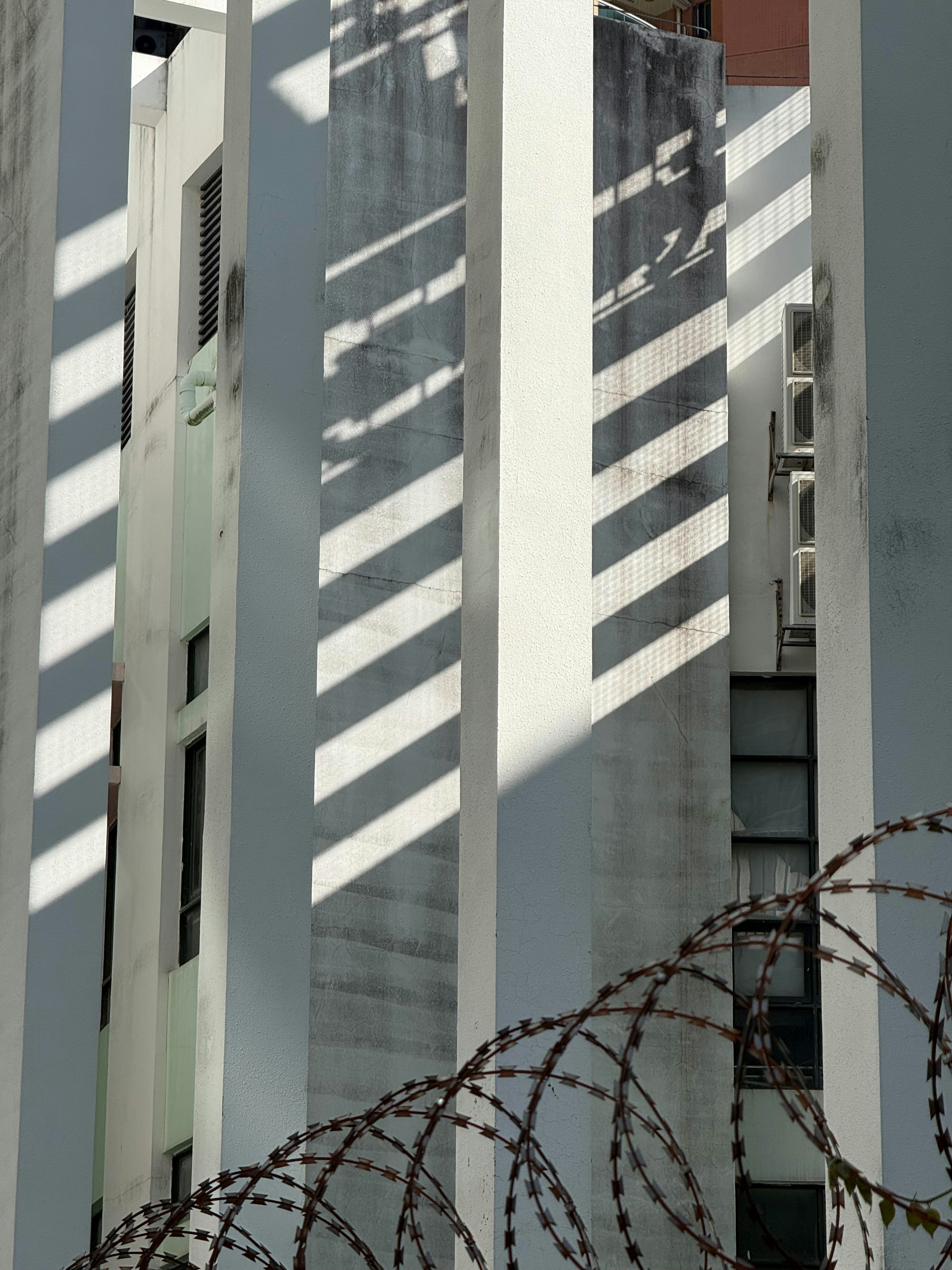 Striated Light on a Concrete Facade: Vertical Columns Meet Barbed Foreground