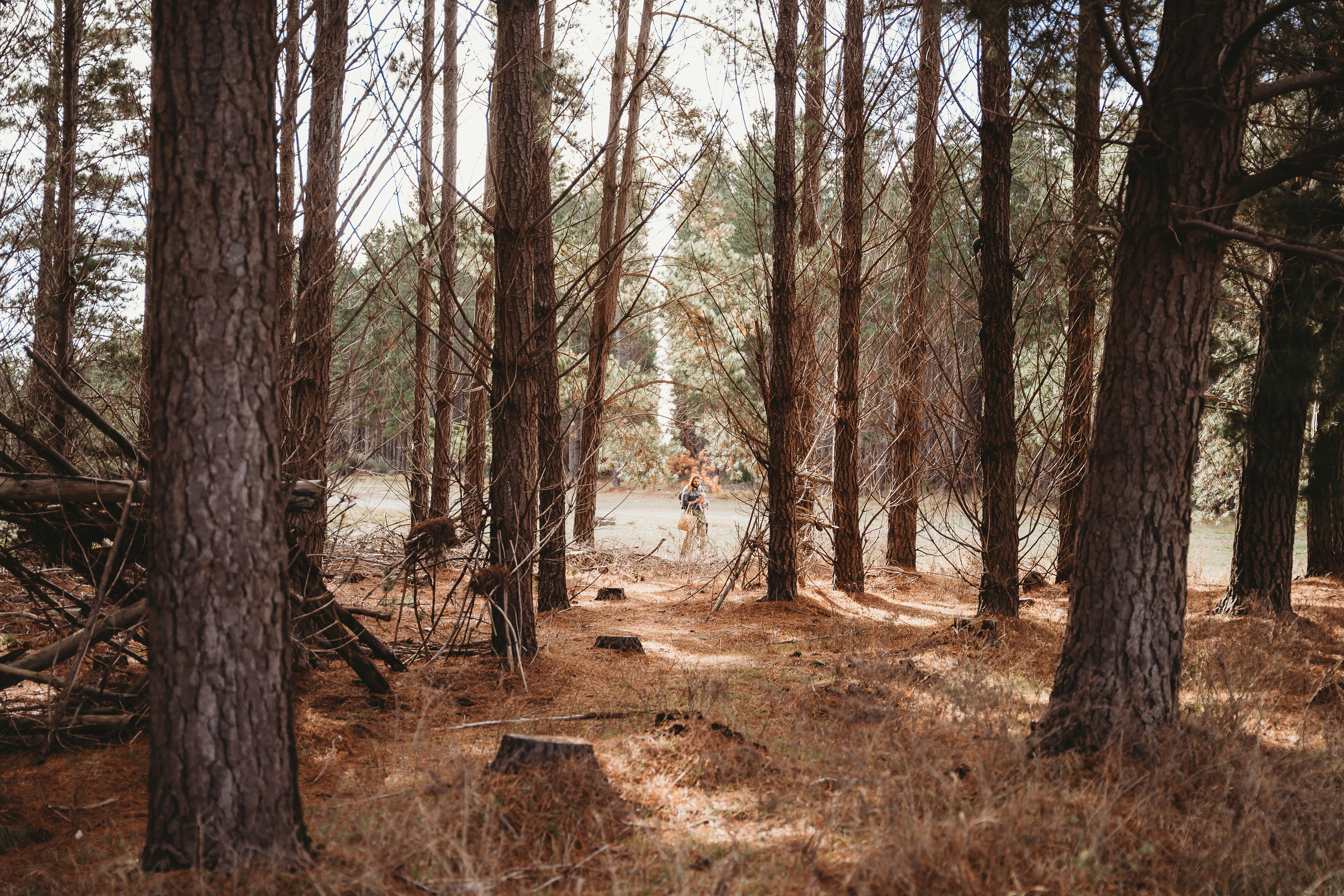 Photo by Jessie Maxwell with Sony Alpha 7 III