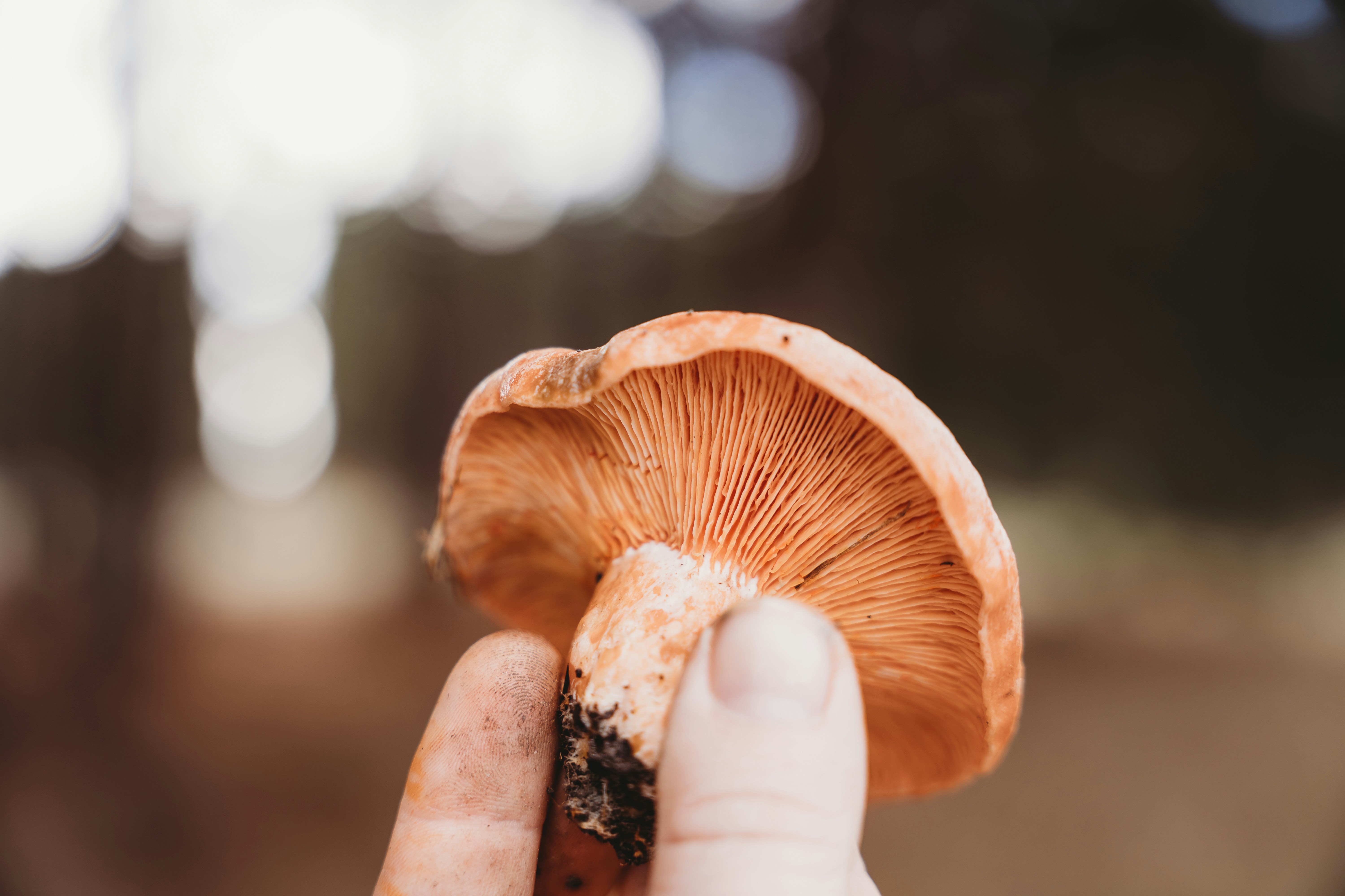 Photo by Jessie Maxwell with Sony Alpha 7 III