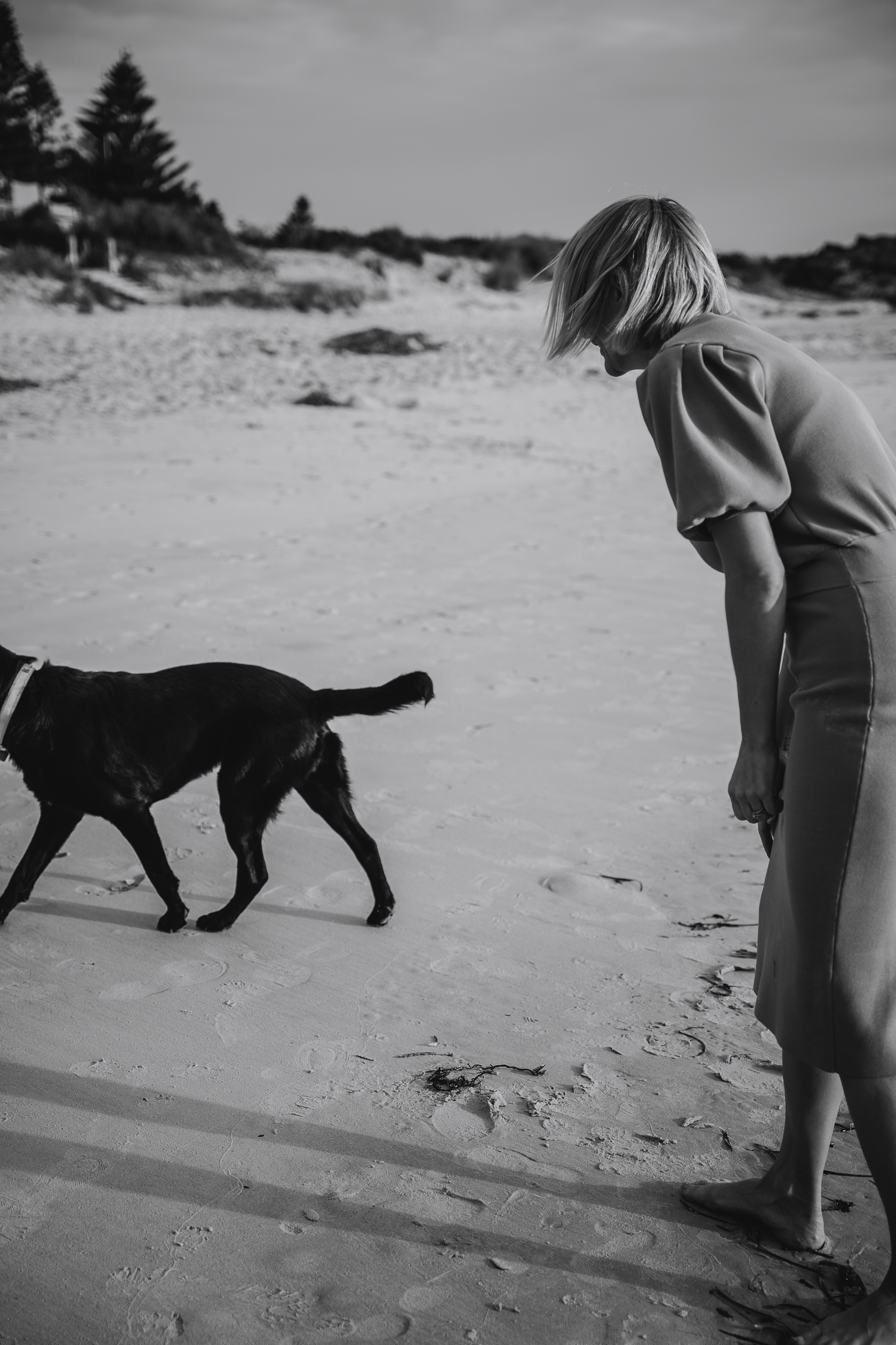 Woman and dog walking on a sandy beach