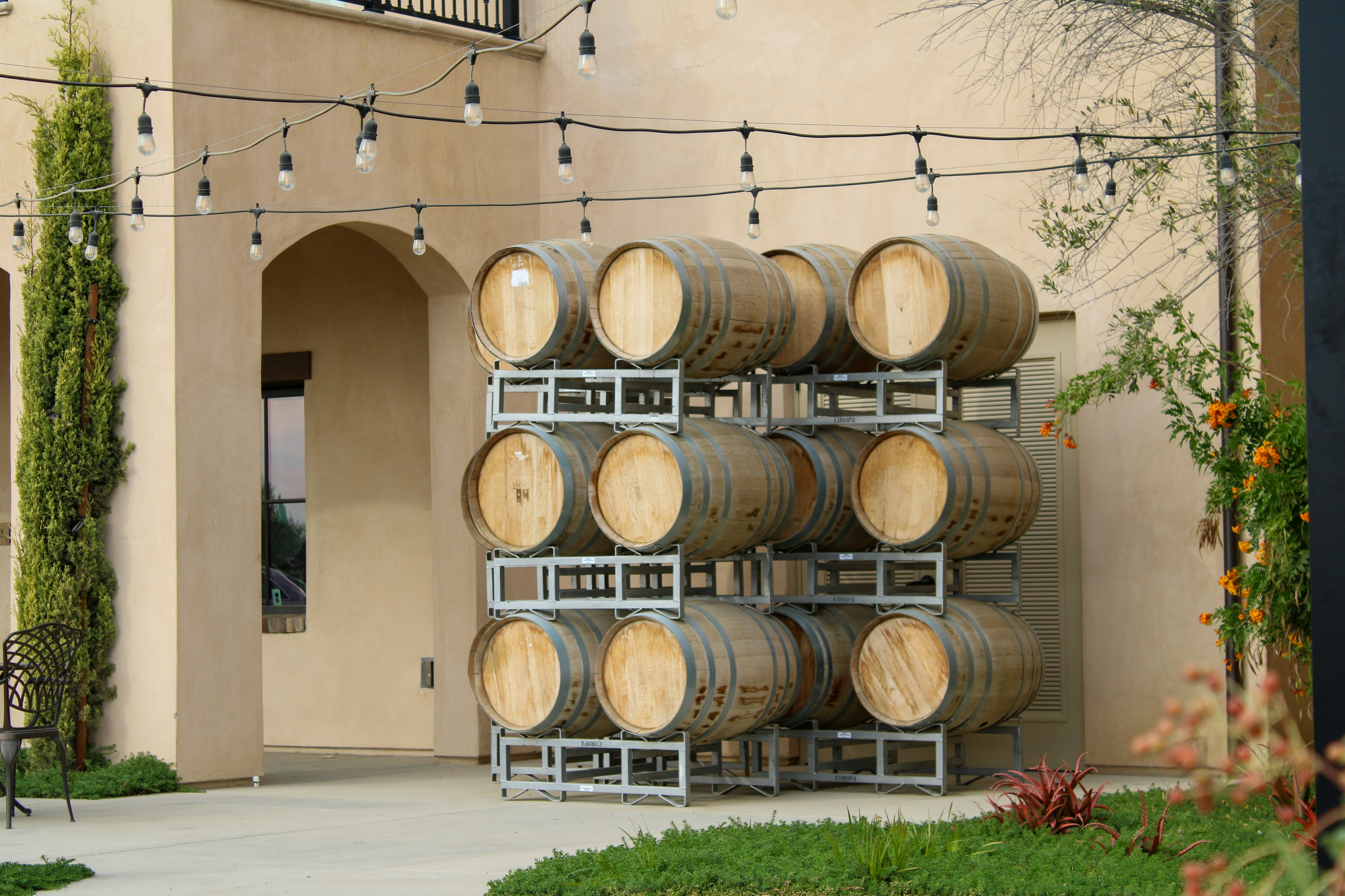 Photo by shawn kim with Canon EOS 2000D